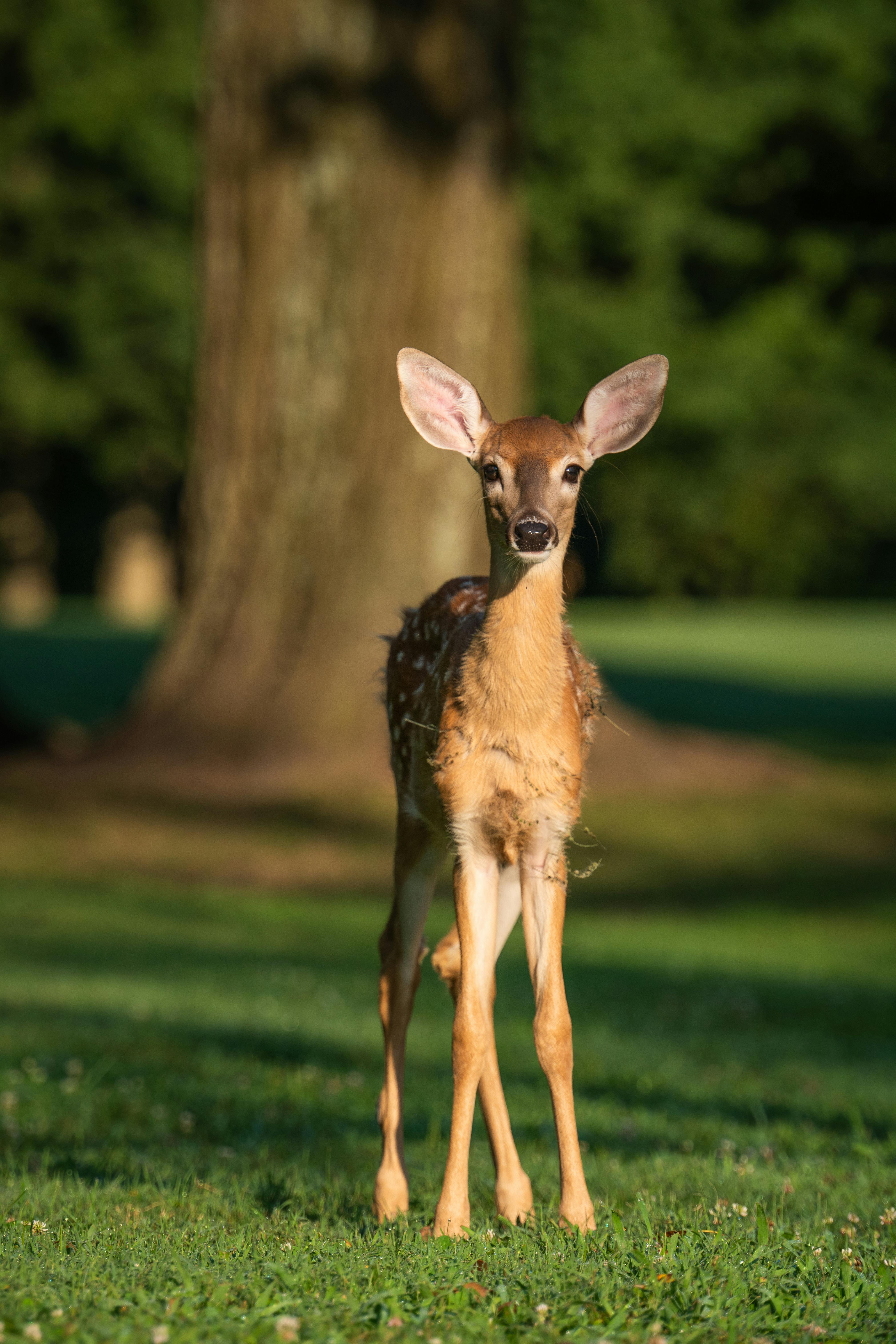 Doe Het Zelf Photos, Download The BEST Free Doe Het Zelf Stock Photos ...