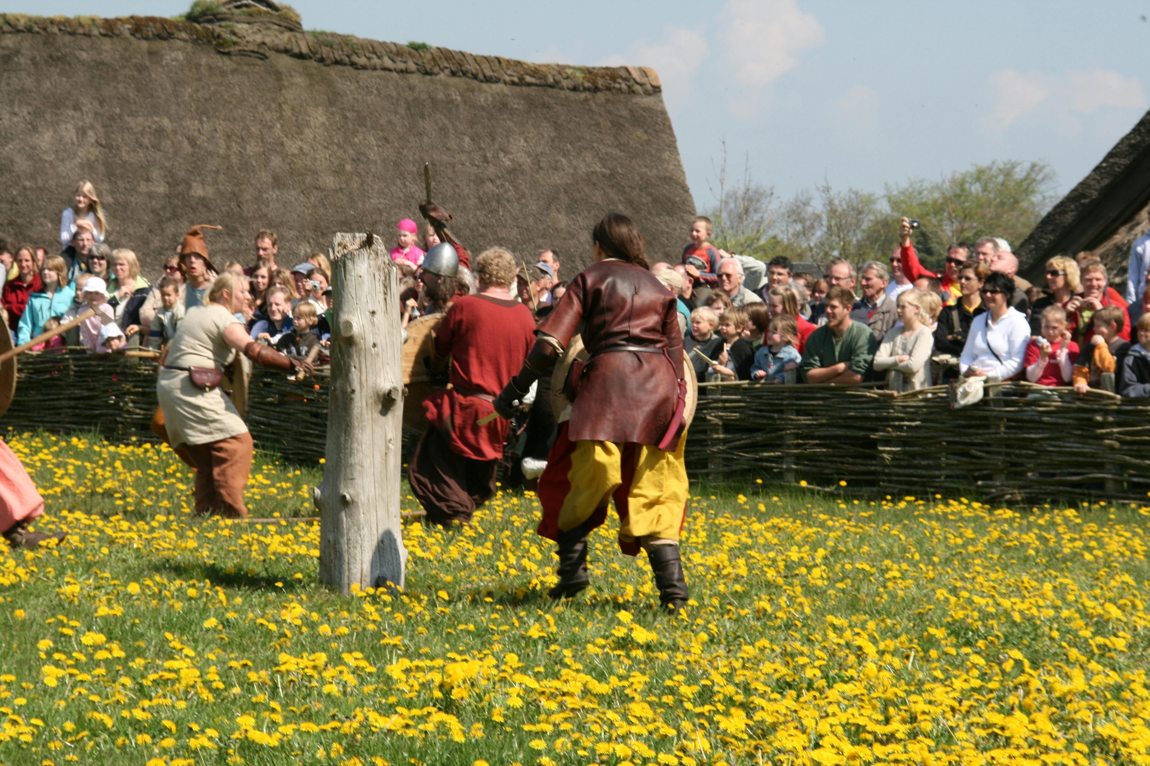 Kostenloses Foto zum Thema: wikinger