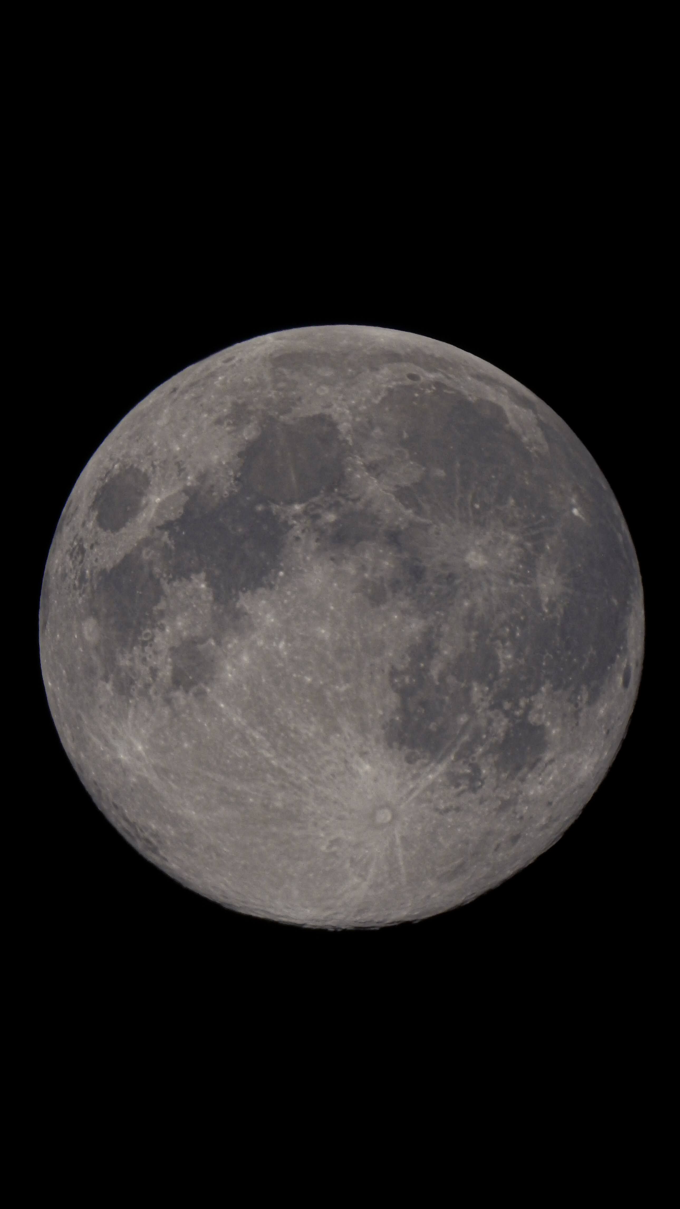 High-Resolution Full Moon in Night Sky · Free Stock Photo