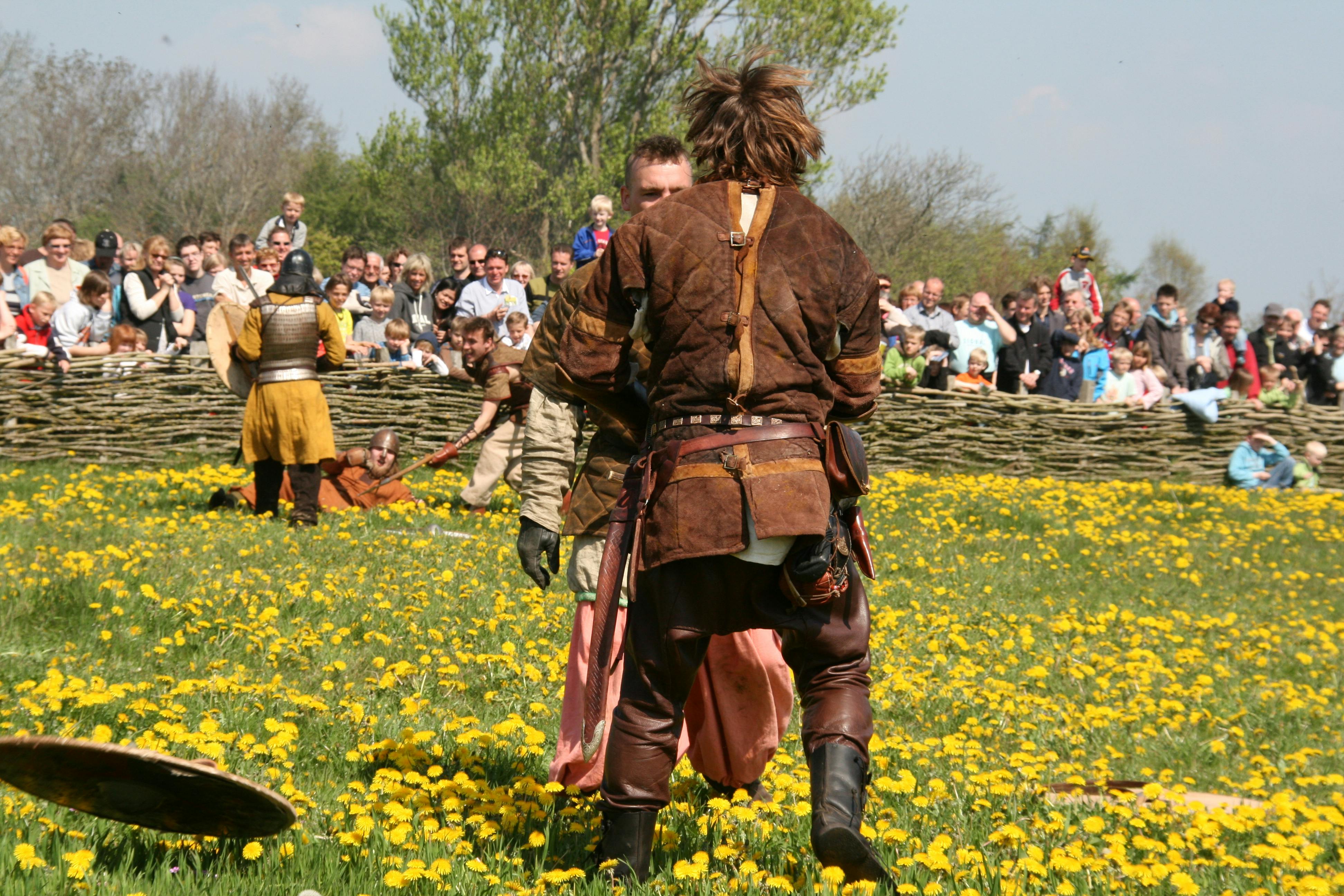 Kostenloses Foto zum Thema: wikinger