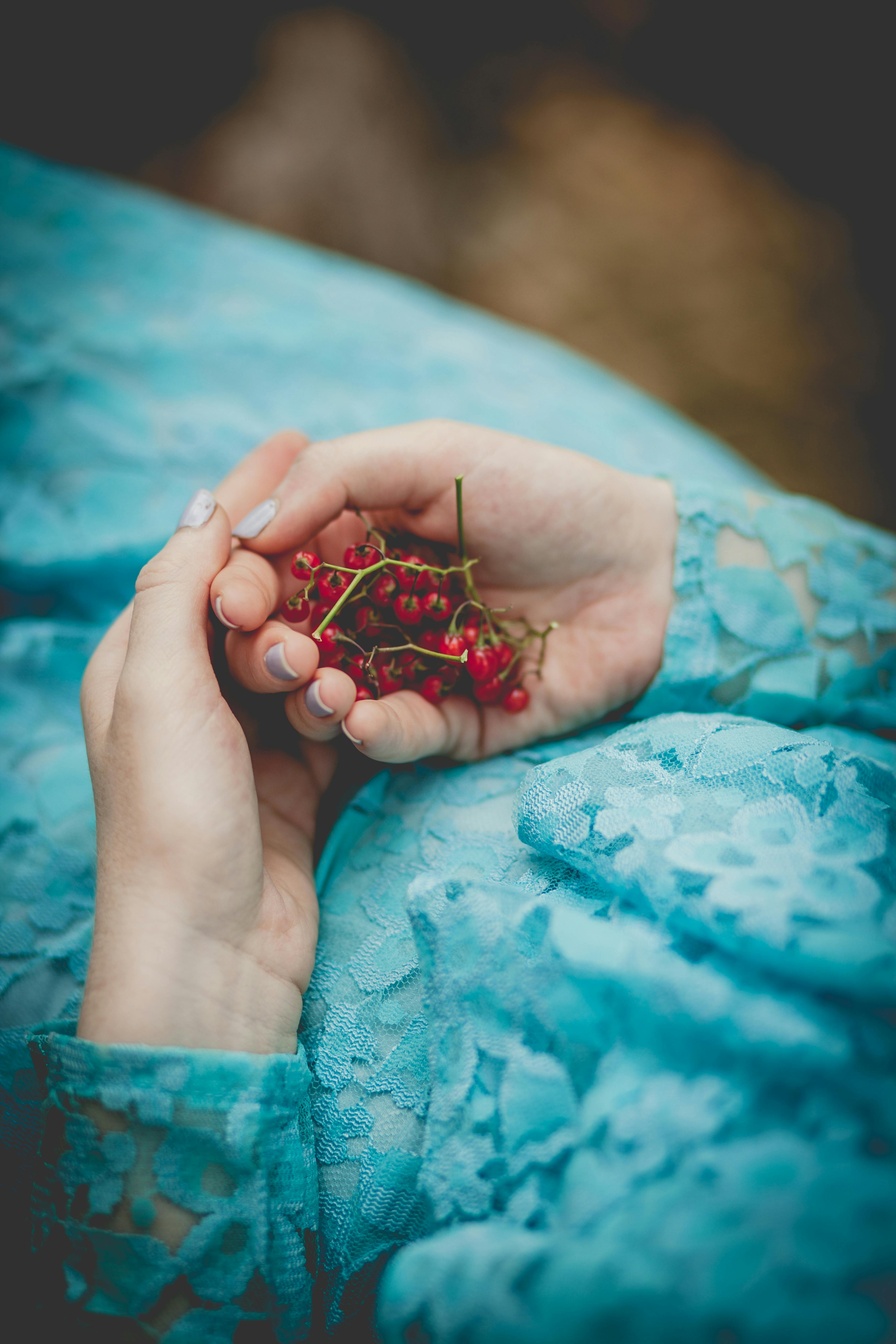 Person Holding Red Fruit · Free Stock Photo