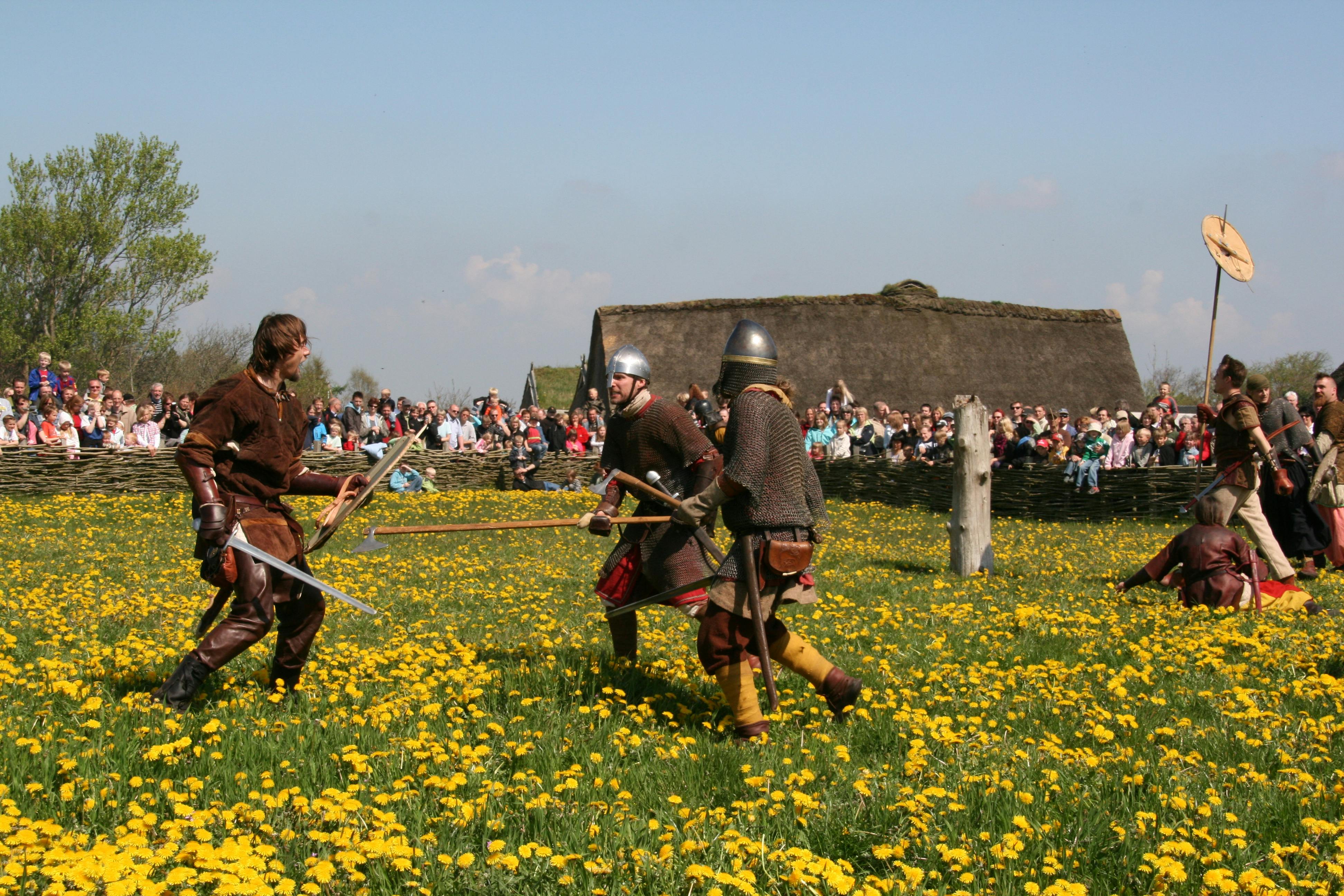 Kostenloses Foto zum Thema: wikinger