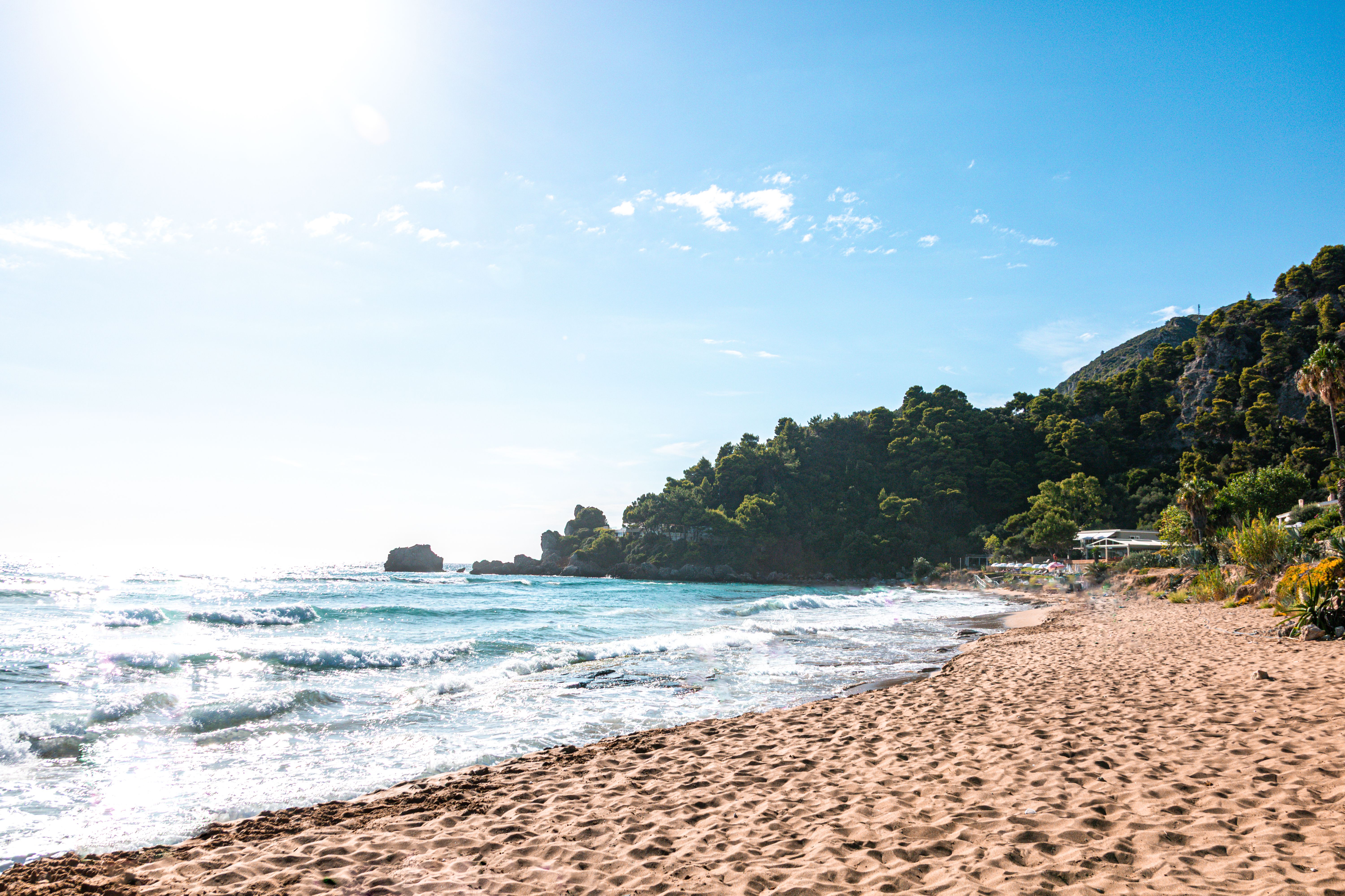 Sandy Beach with a Forest in the Background · Free Stock Photo