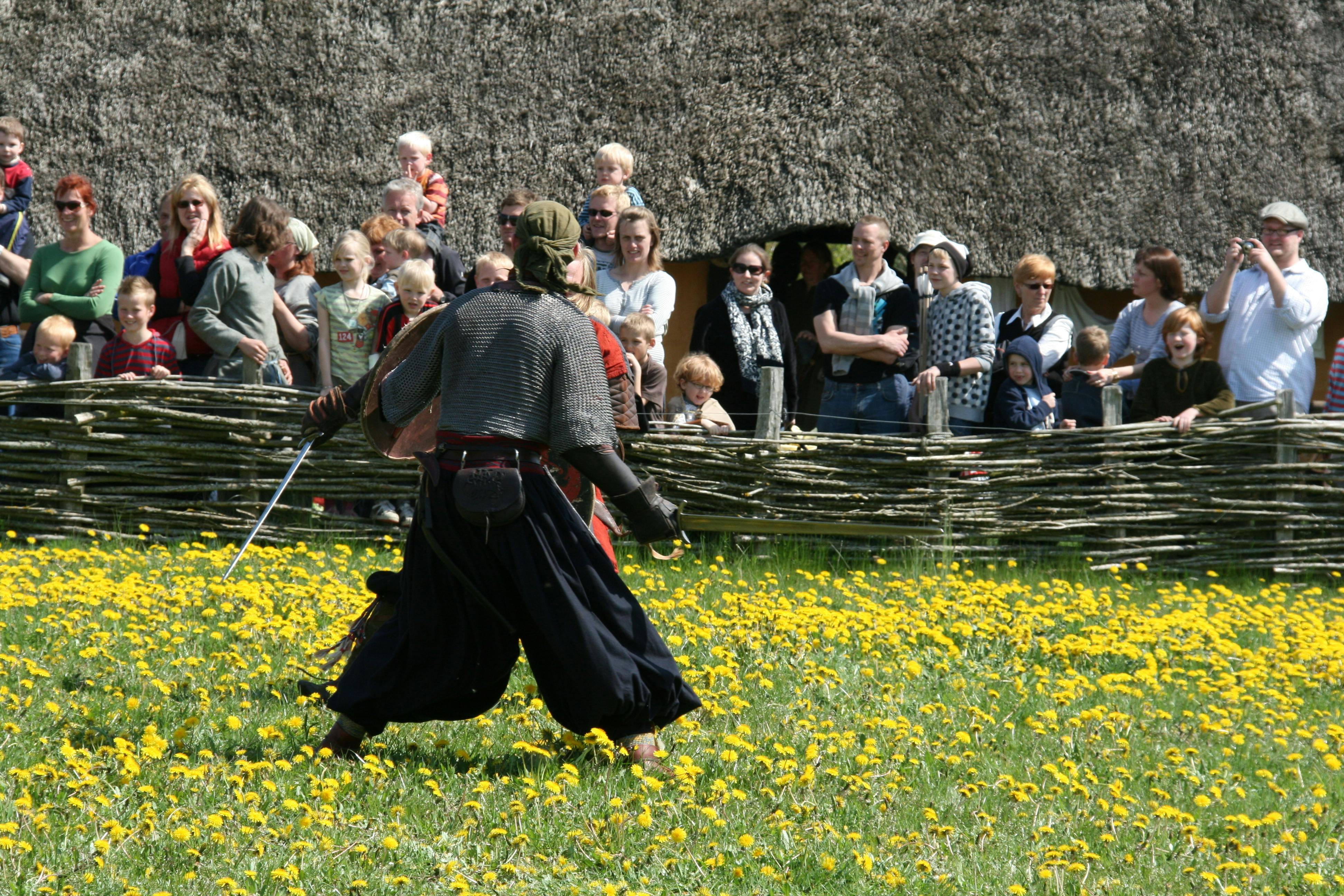 Kostenloses Foto zum Thema: wikinger