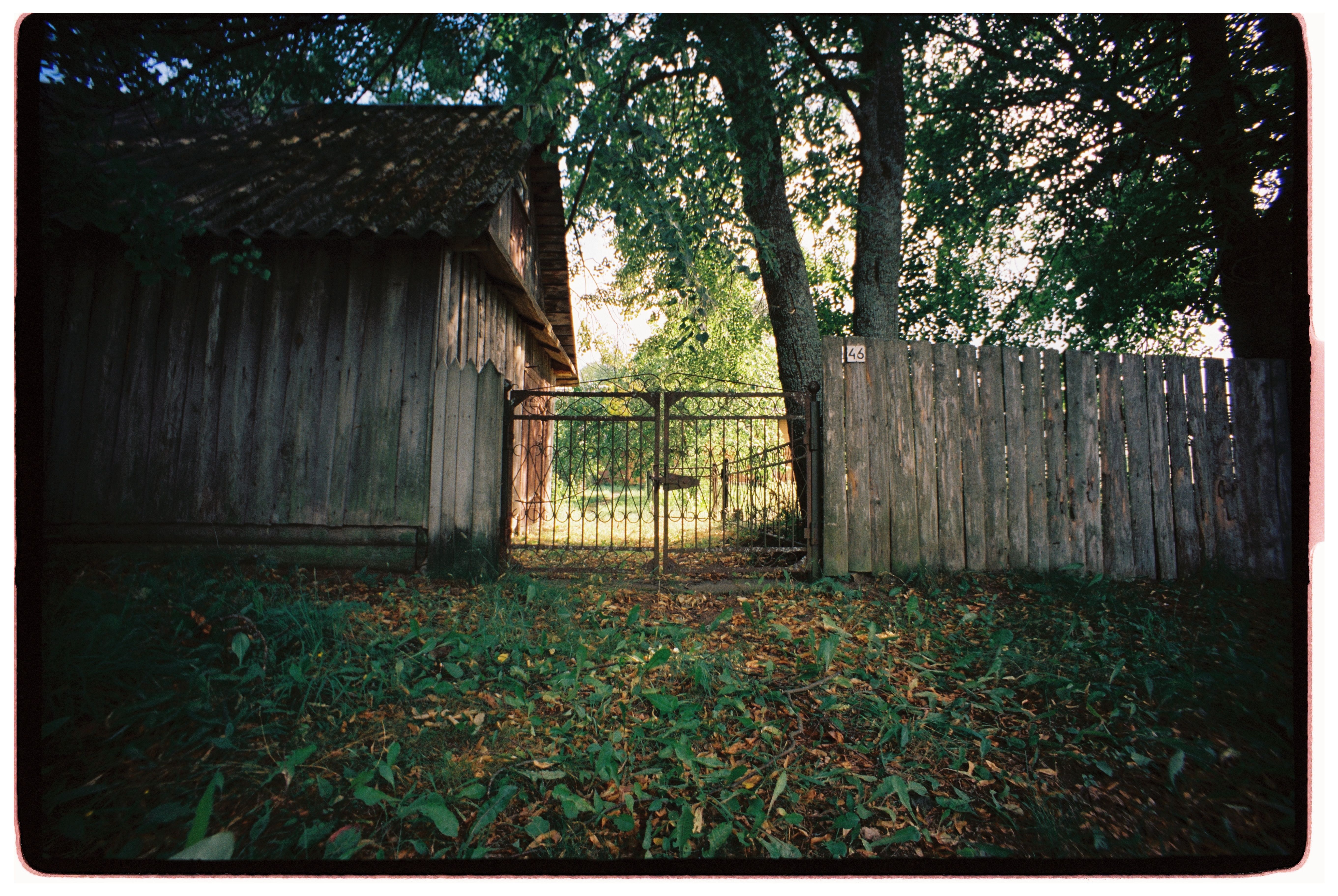 Rustic Farmhouse with Lush Green Farmyard Trees · Free Stock Photo