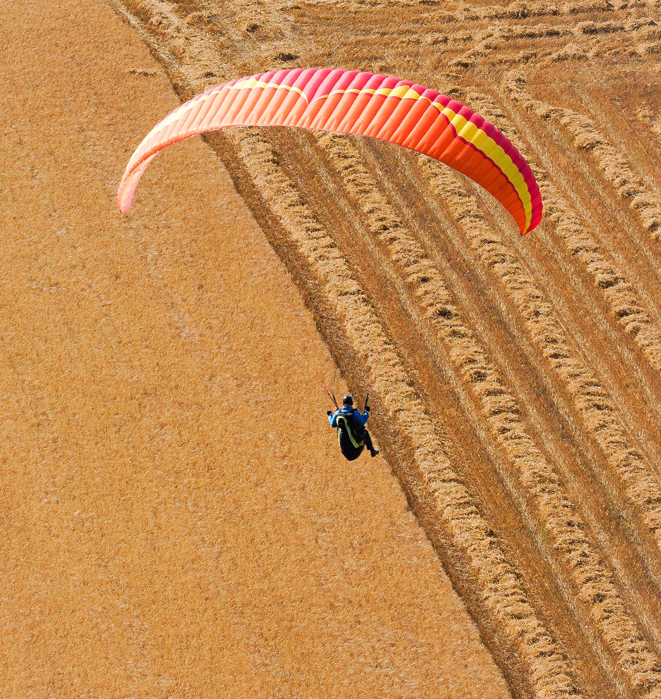 Aerial View of Paraglider Over Golden Wheat Field · Free Stock Photo