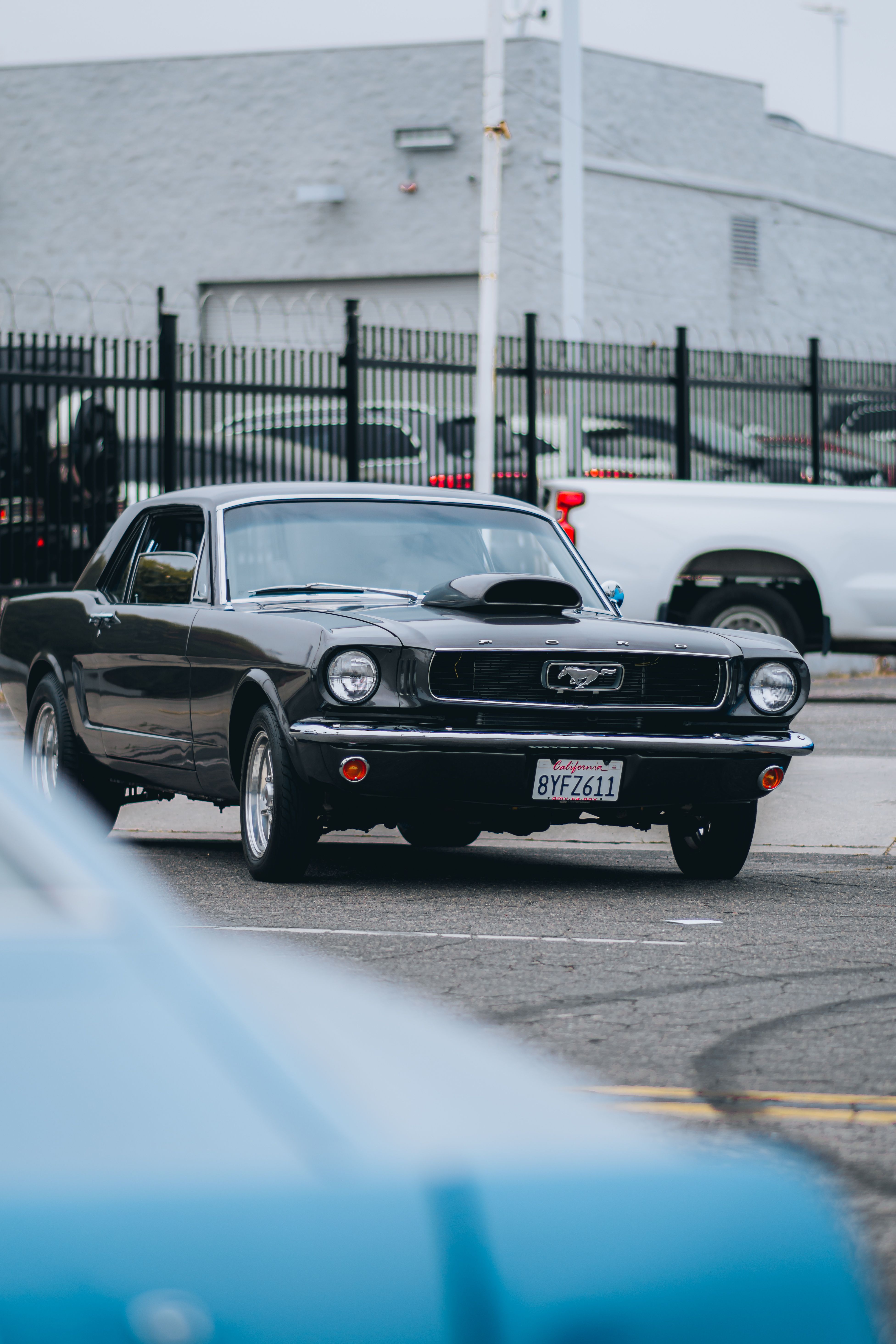 Mustang Car Photos, Download The BEST Free Mustang Car Stock Photos ...