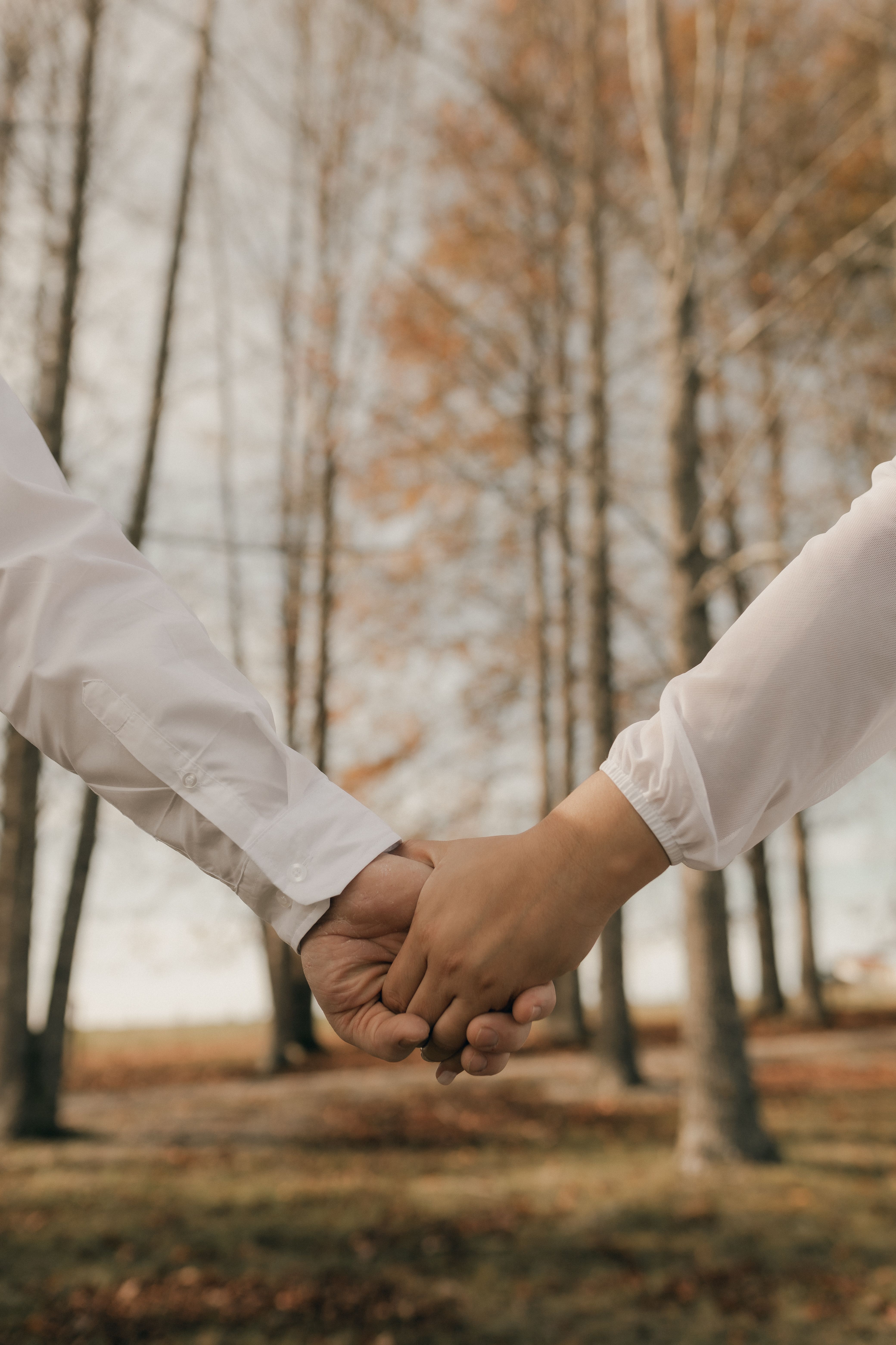 Couple Holding Hands in Autumn Forest · Free Stock Photo