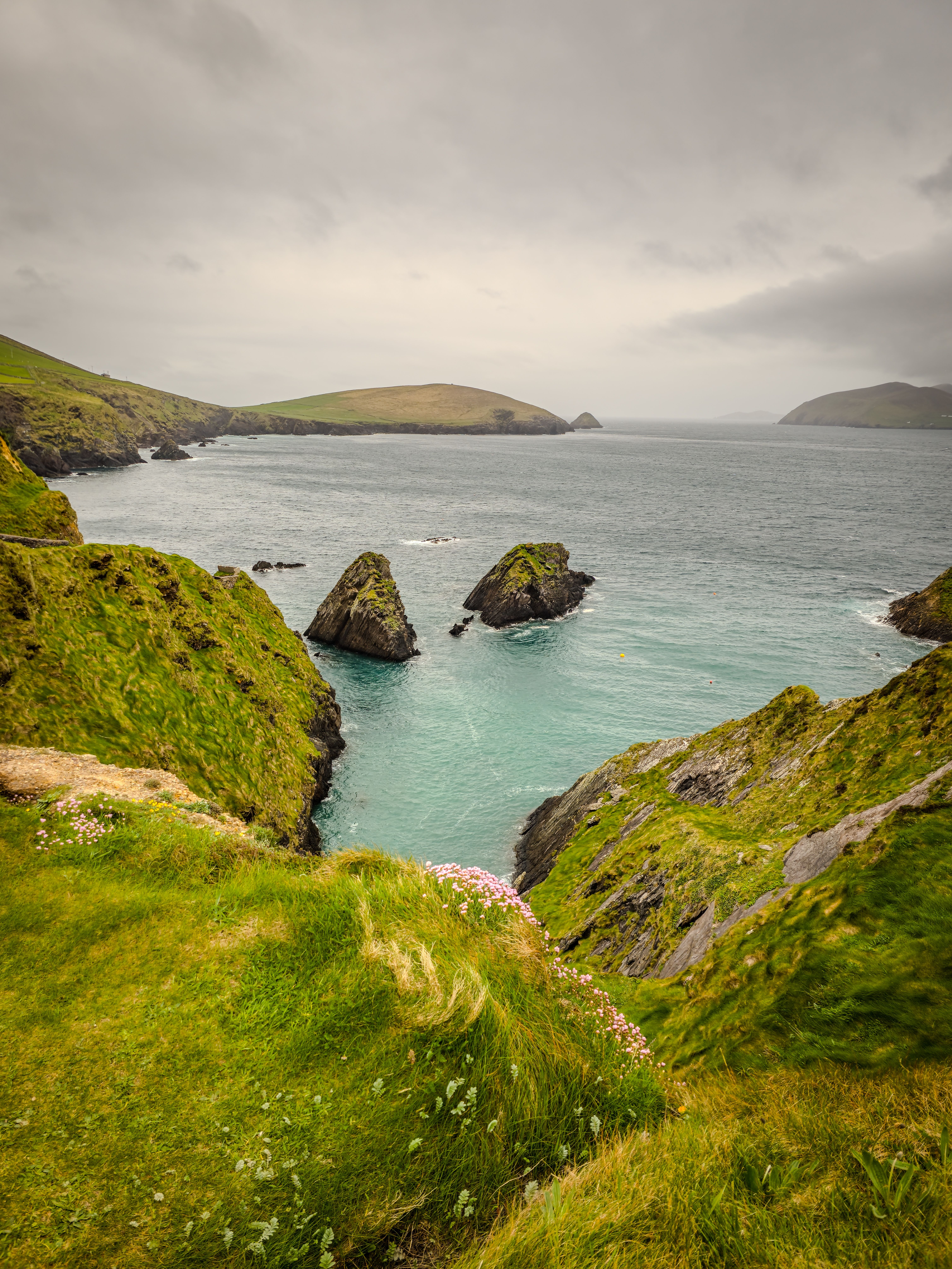 Scenic Coastal Cliffs in Dingle, Ireland · Free Stock Photo