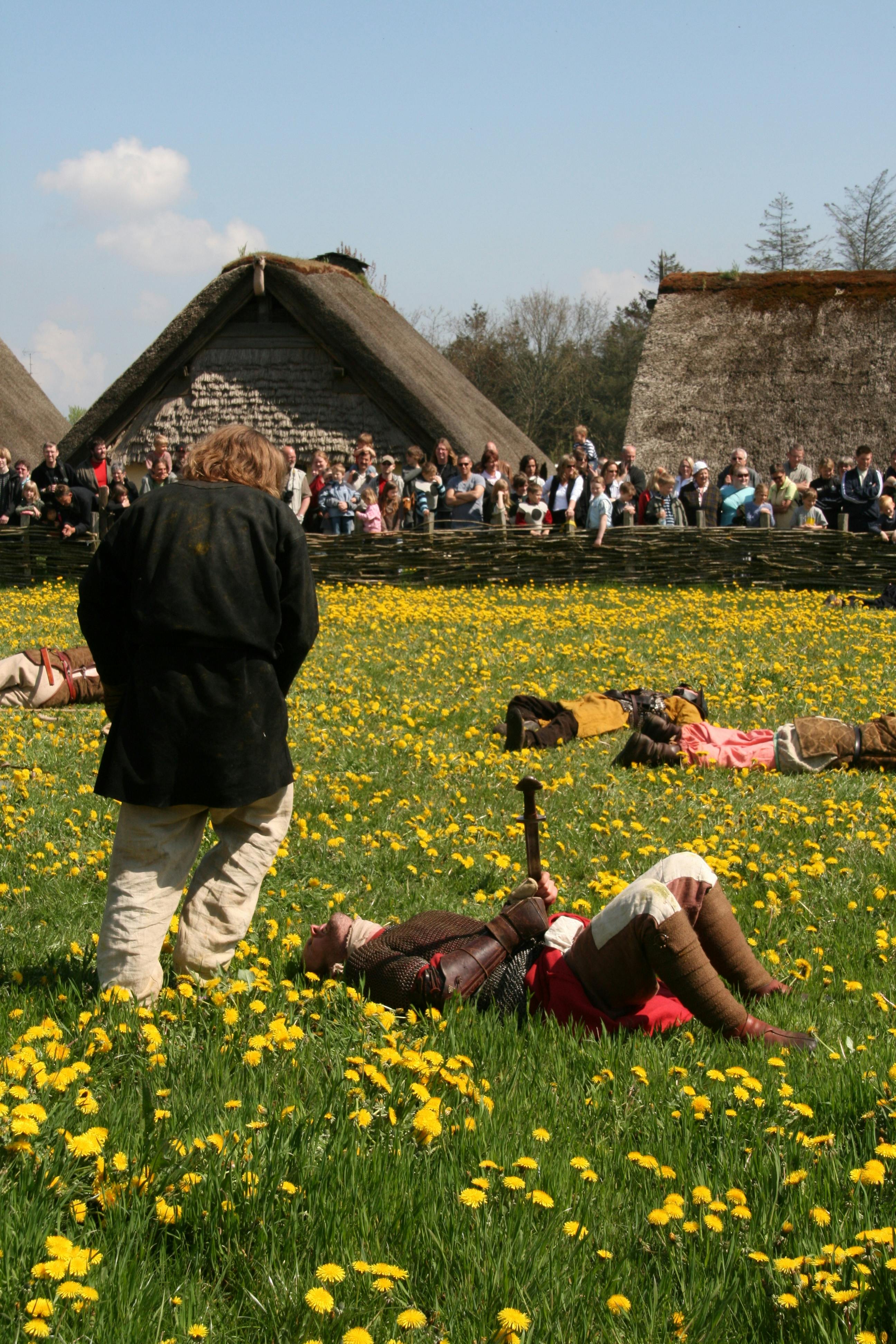 Kostenloses Foto zum Thema: wikinger