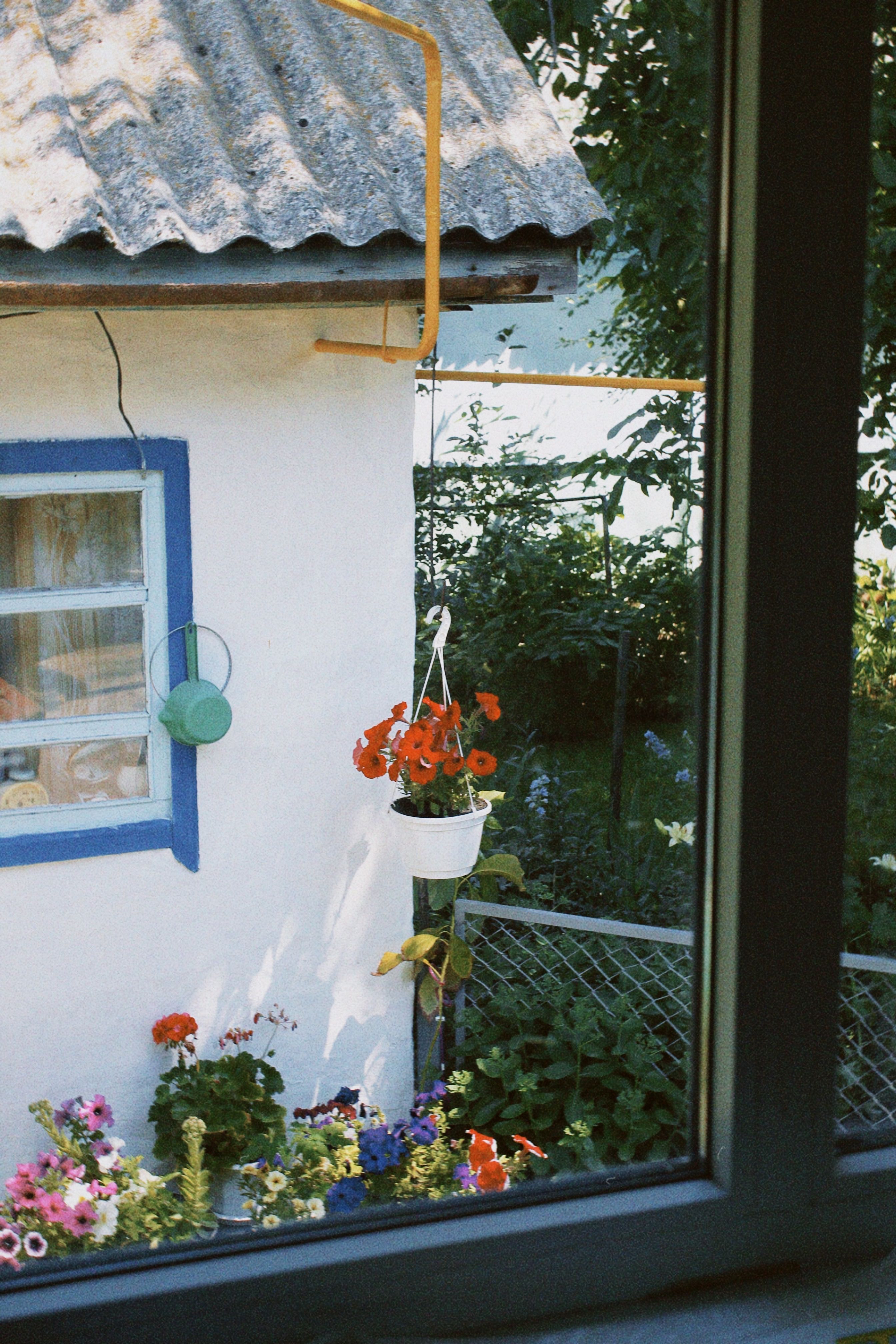 Charming Cottage Garden View Through Window · Free Stock Photo