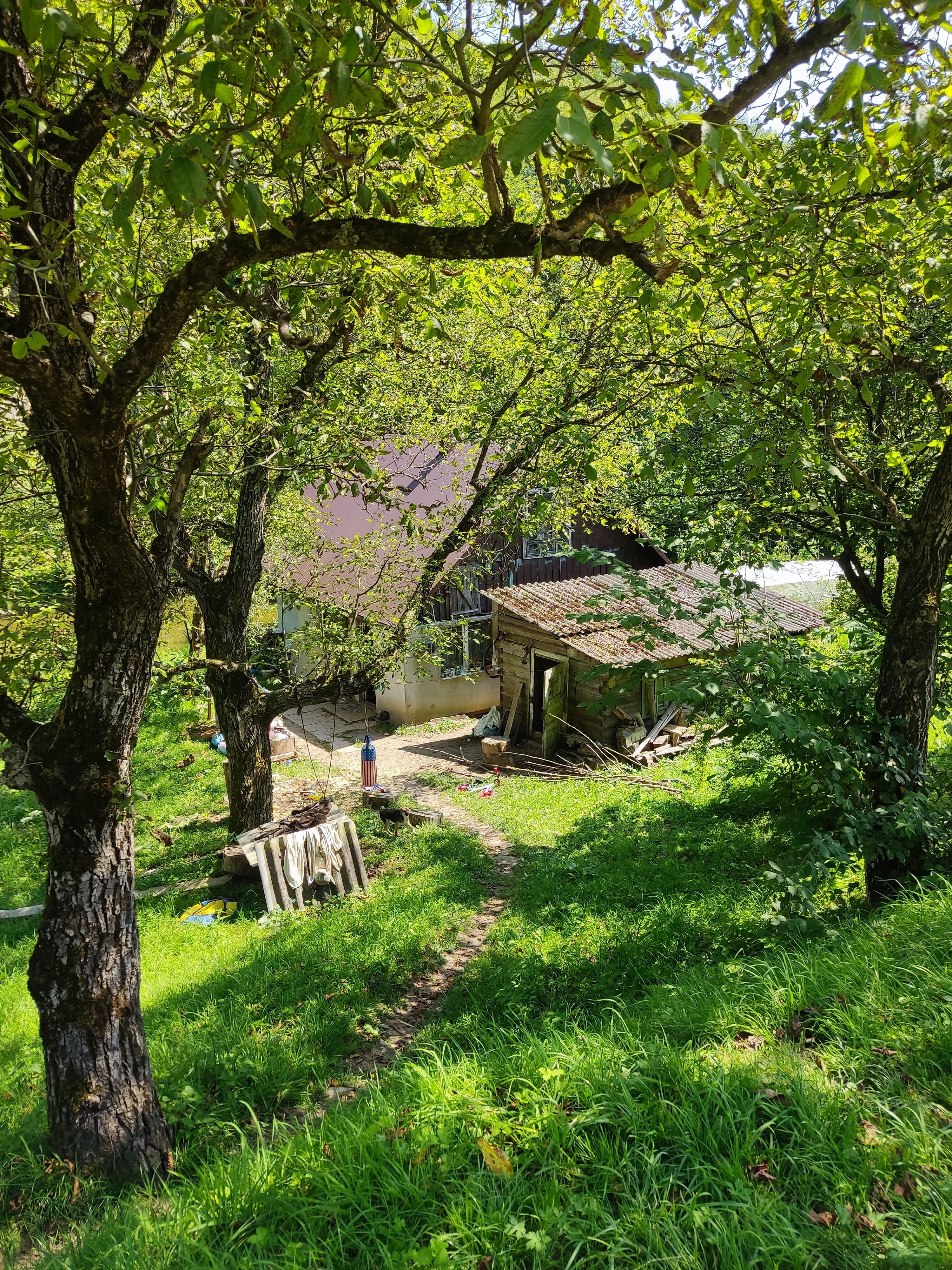 Charming Forest Cottage in the Carpathians · Free Stock Photo