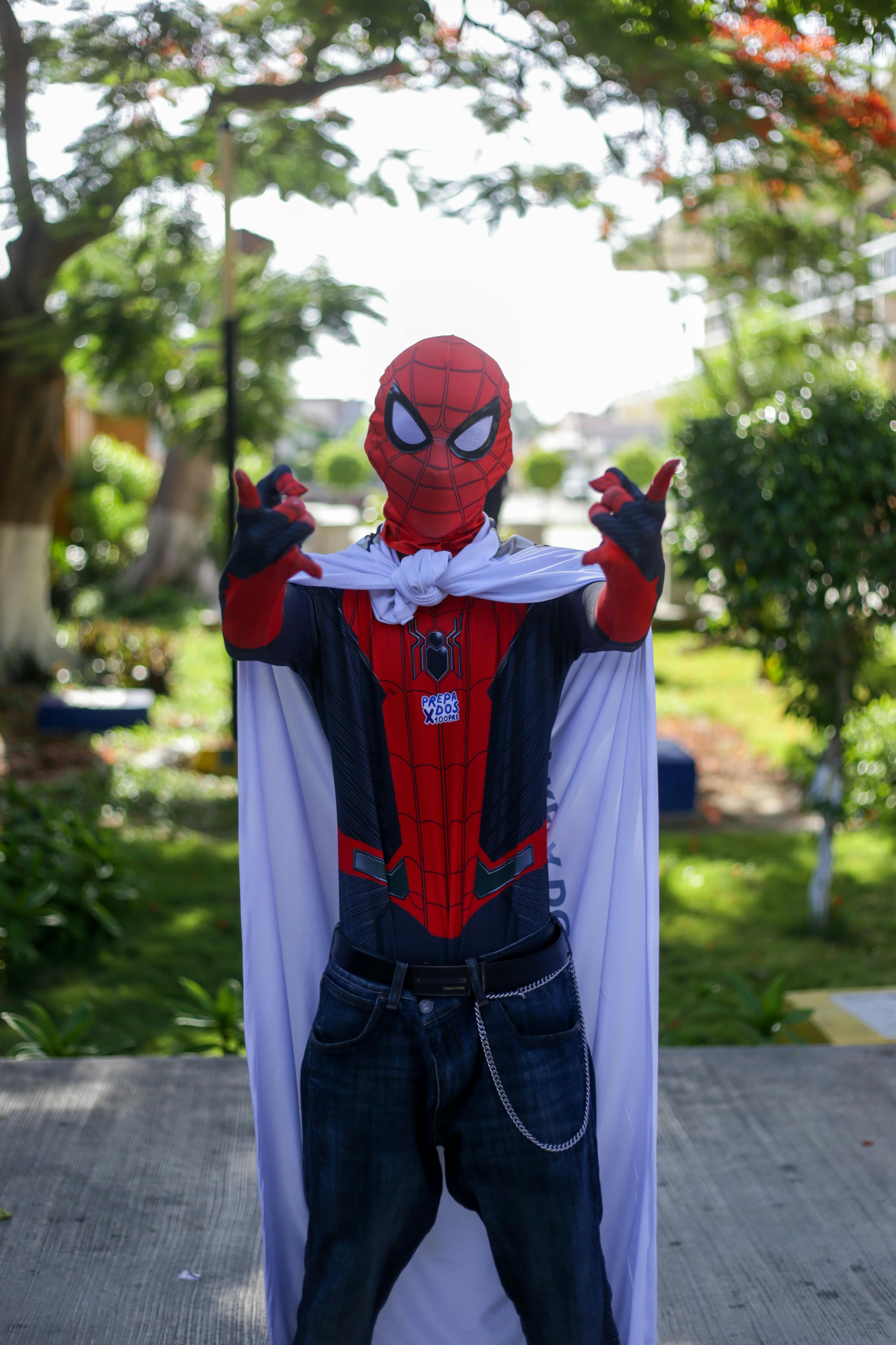 Spider Man Photos, Download The BEST Free Spider Man Stock Photos & HD ...