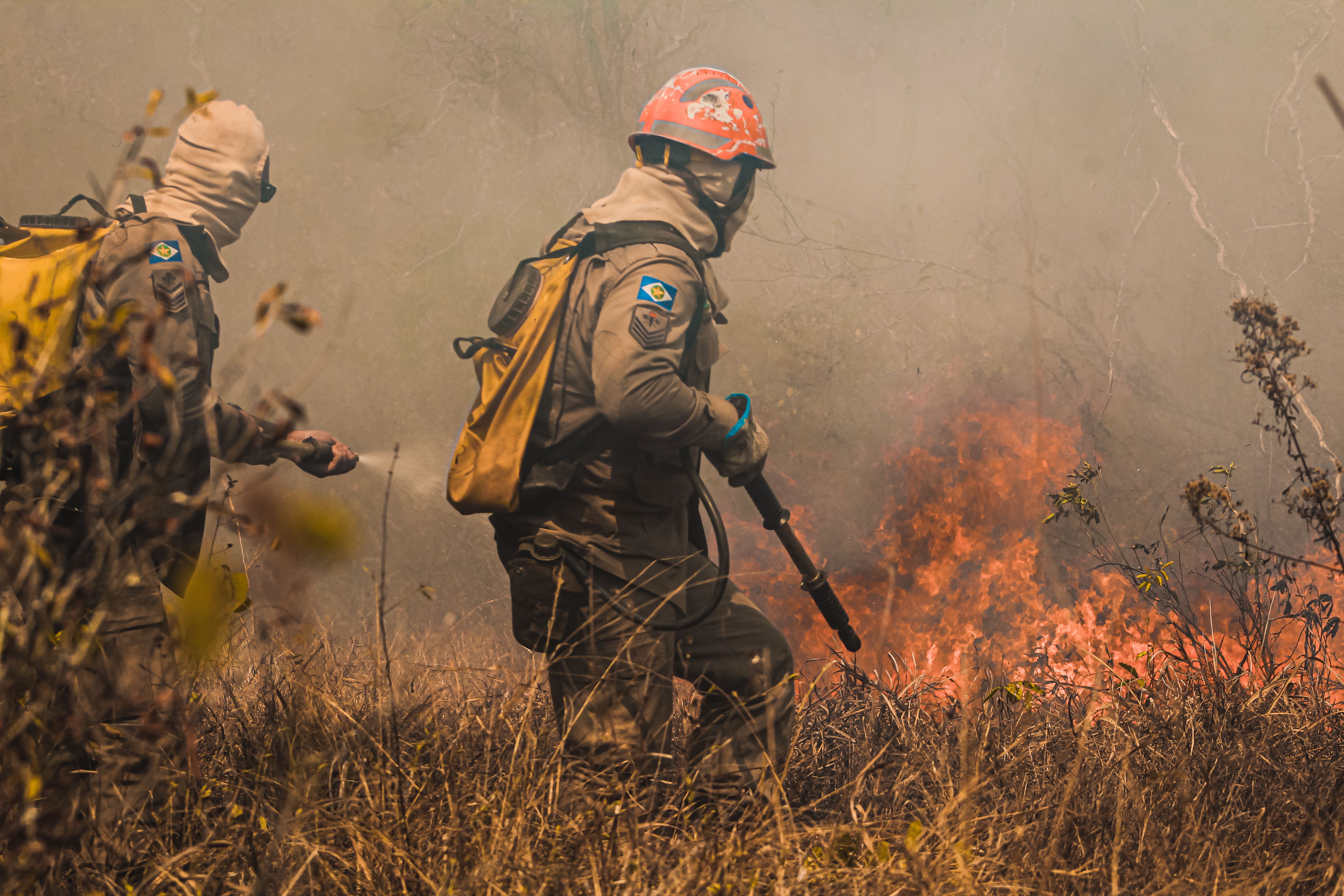Firefighters Battling Wildfire in Mato Grosso · Free Stock Photo