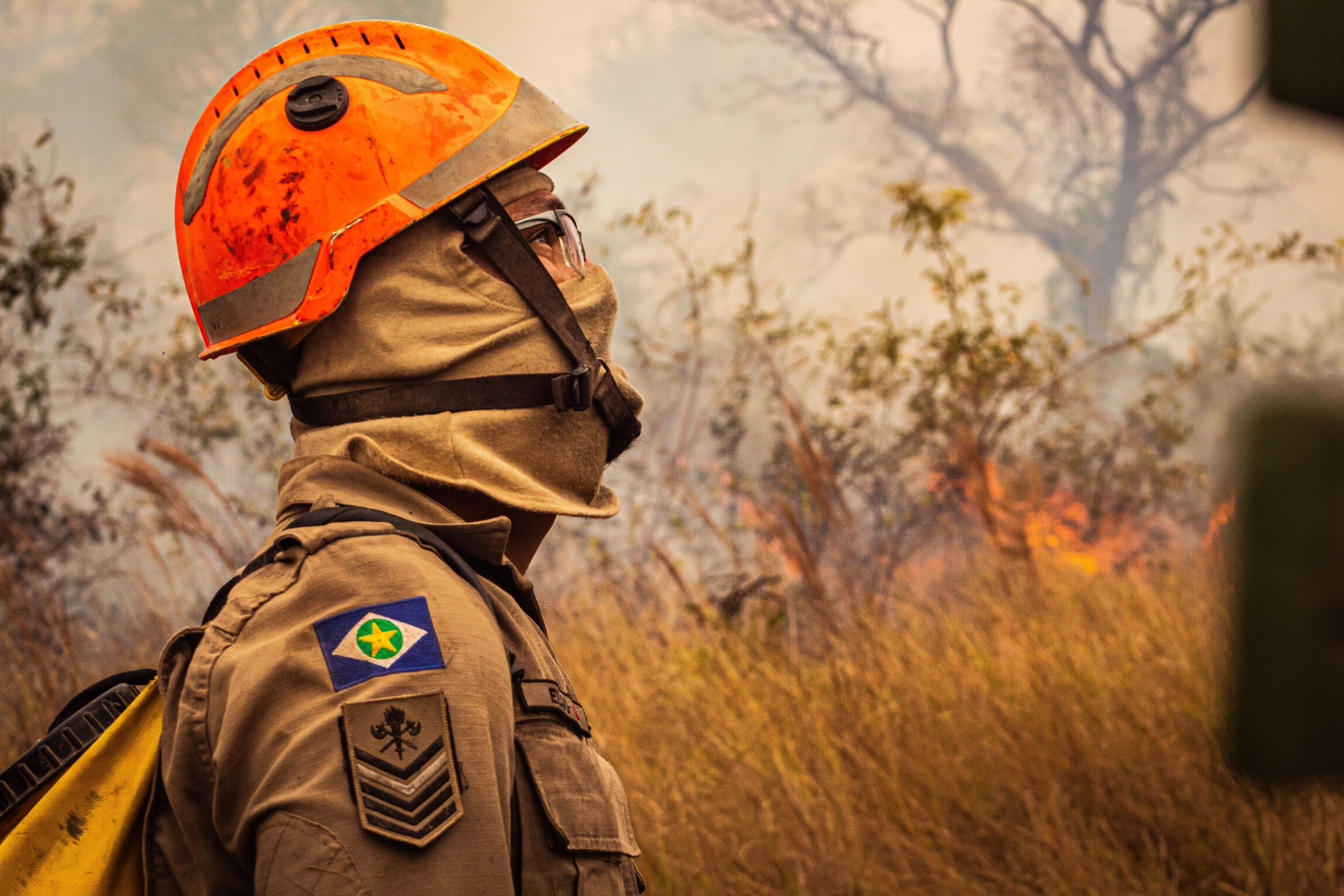 Firefighter in Action Battling Wildfire in Brazil · Free Stock Photo