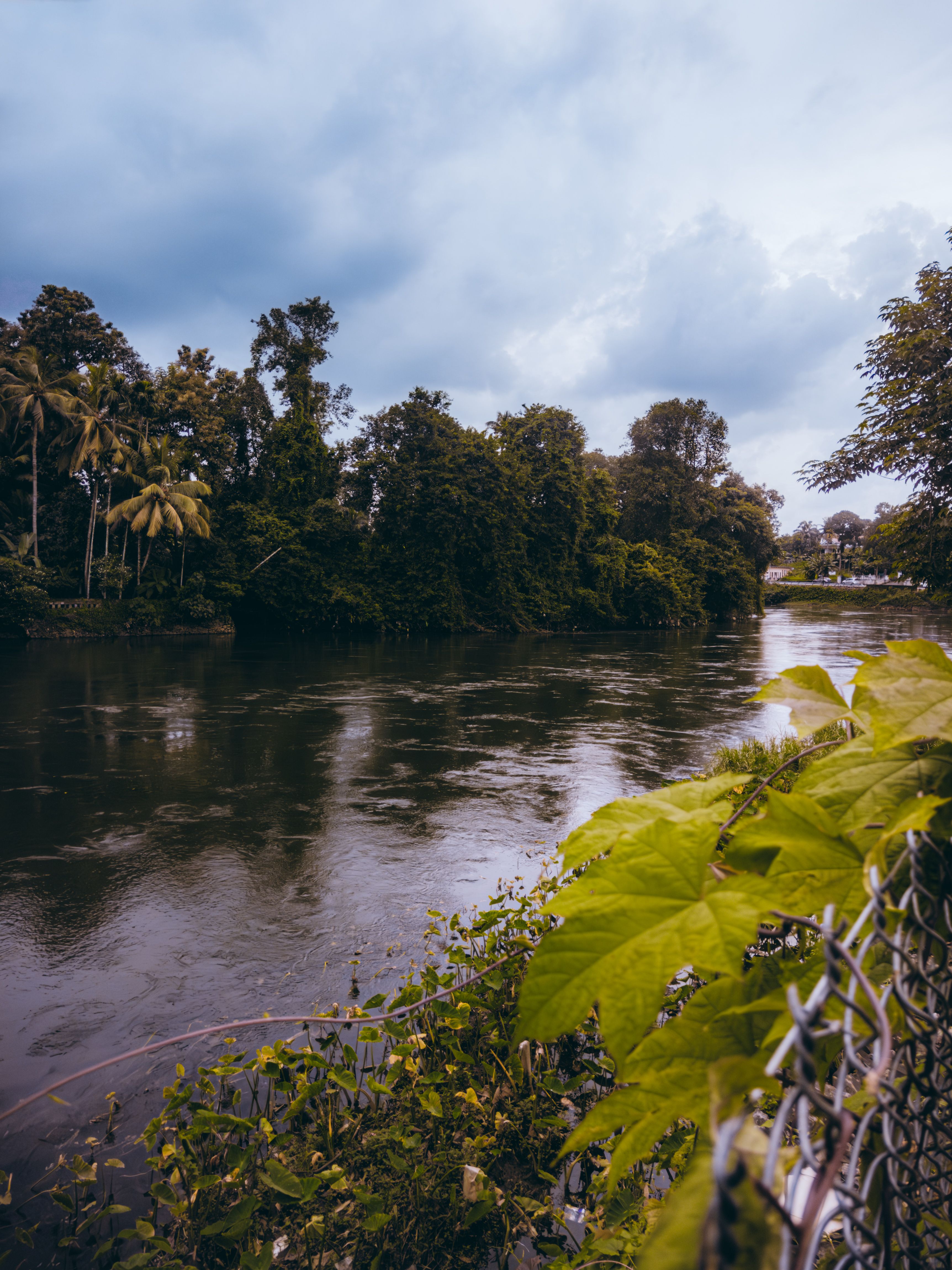 Photoshop River Background Photos, Download The BEST Free Photoshop ...