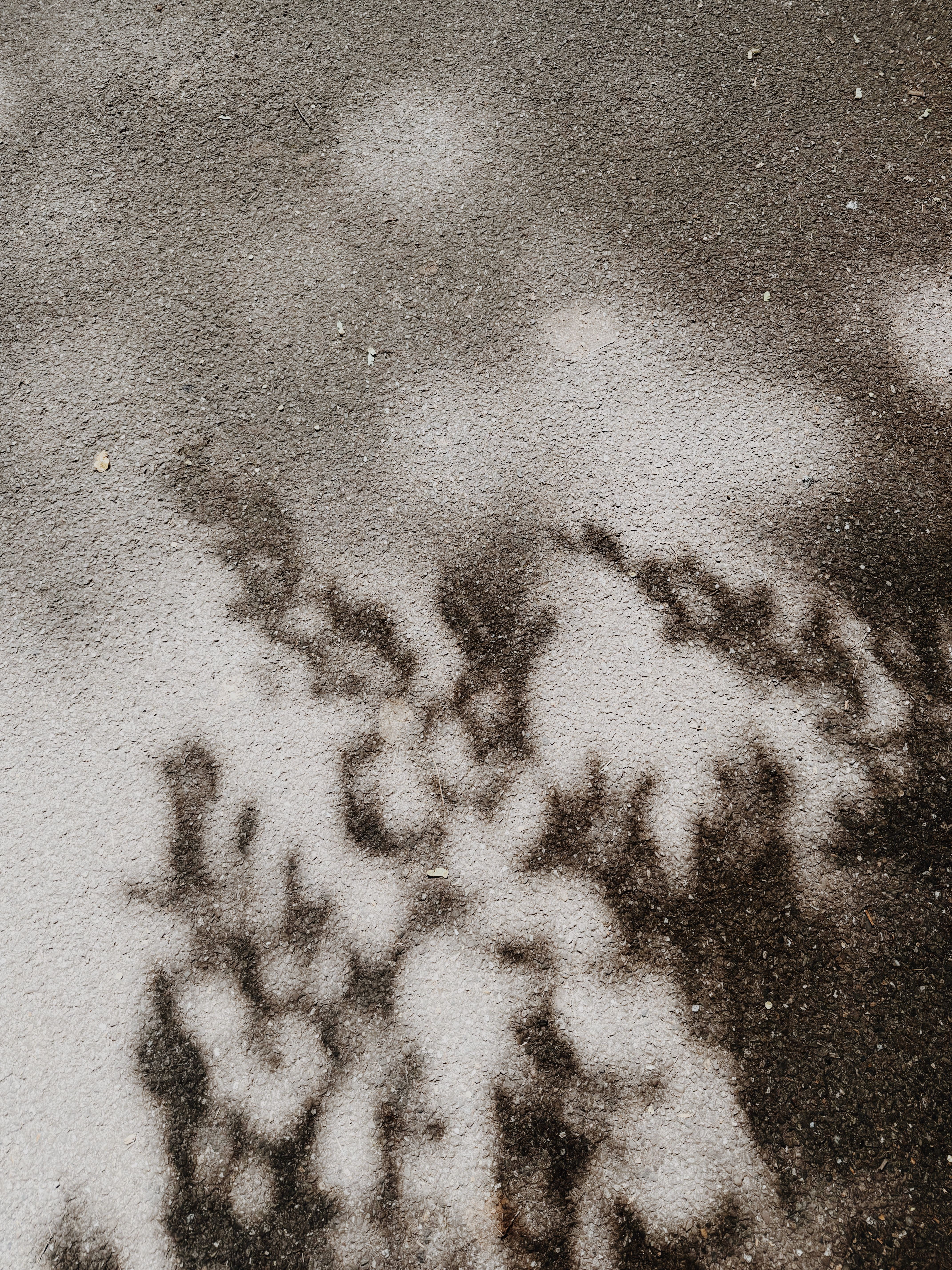 Abstract Shadow Patterns on Pavement Surface · Free Stock Photo