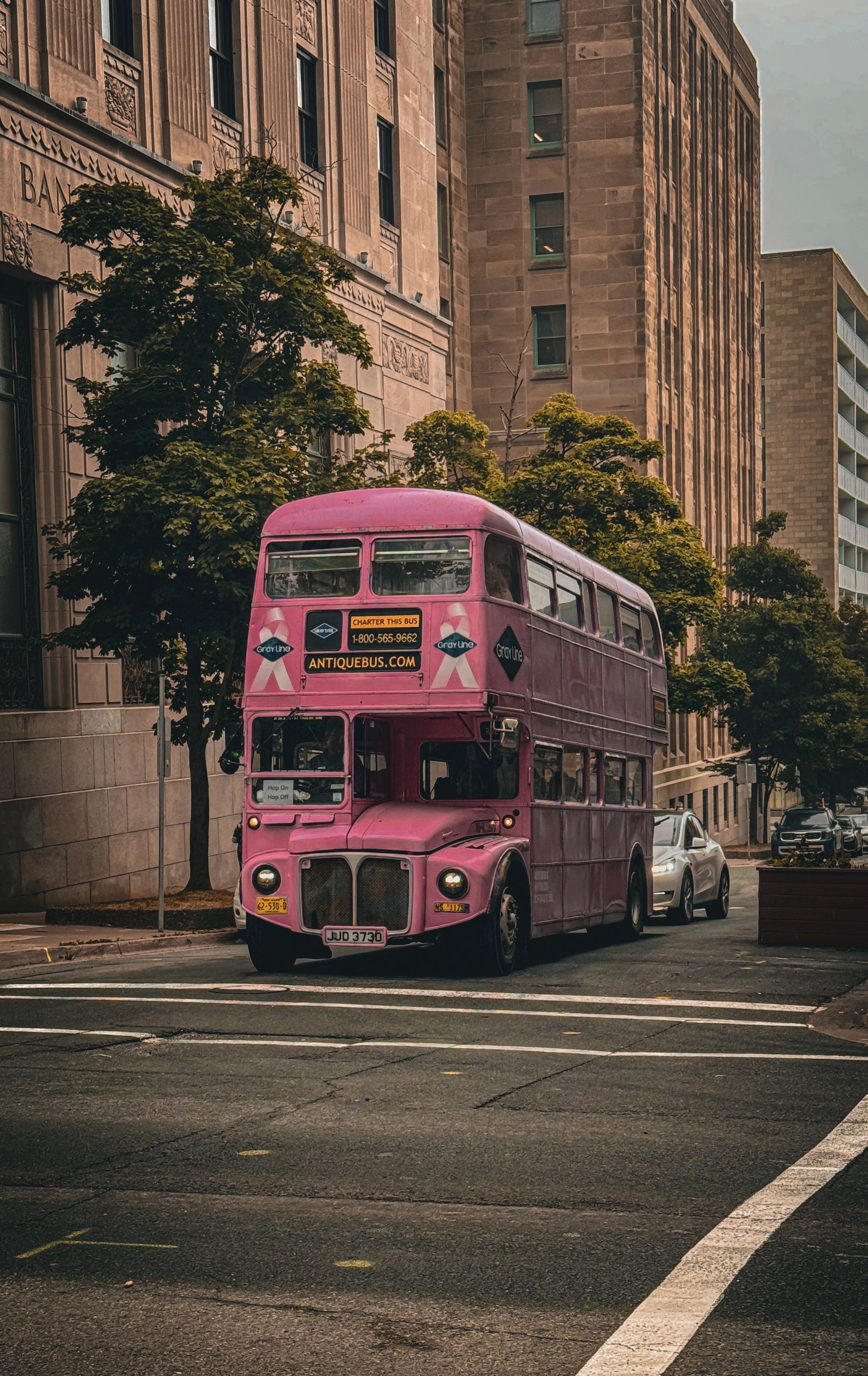 Colorful Buenos Aires Tour Bus by Urban Street · Free Stock Photo