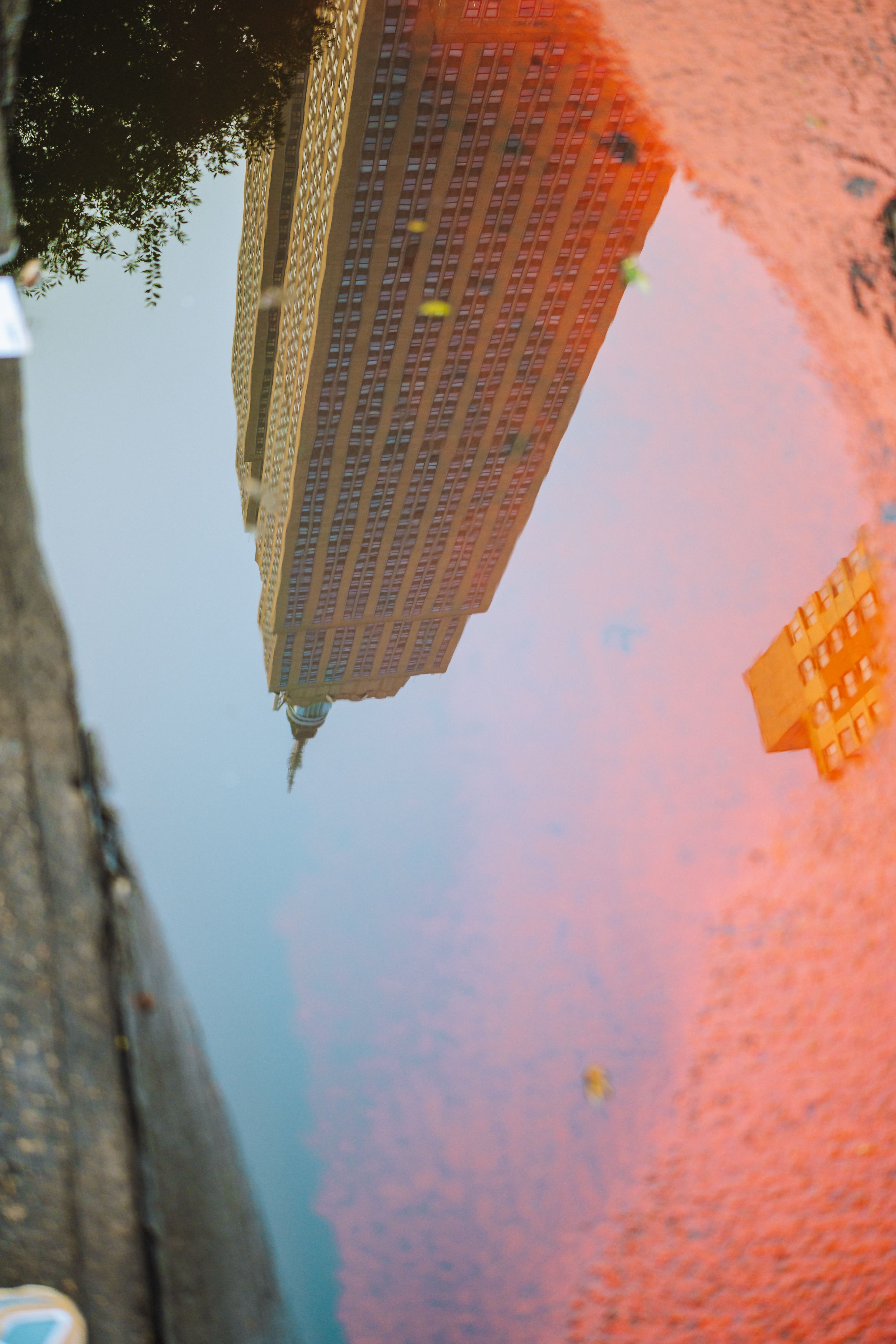 Edit in Canva