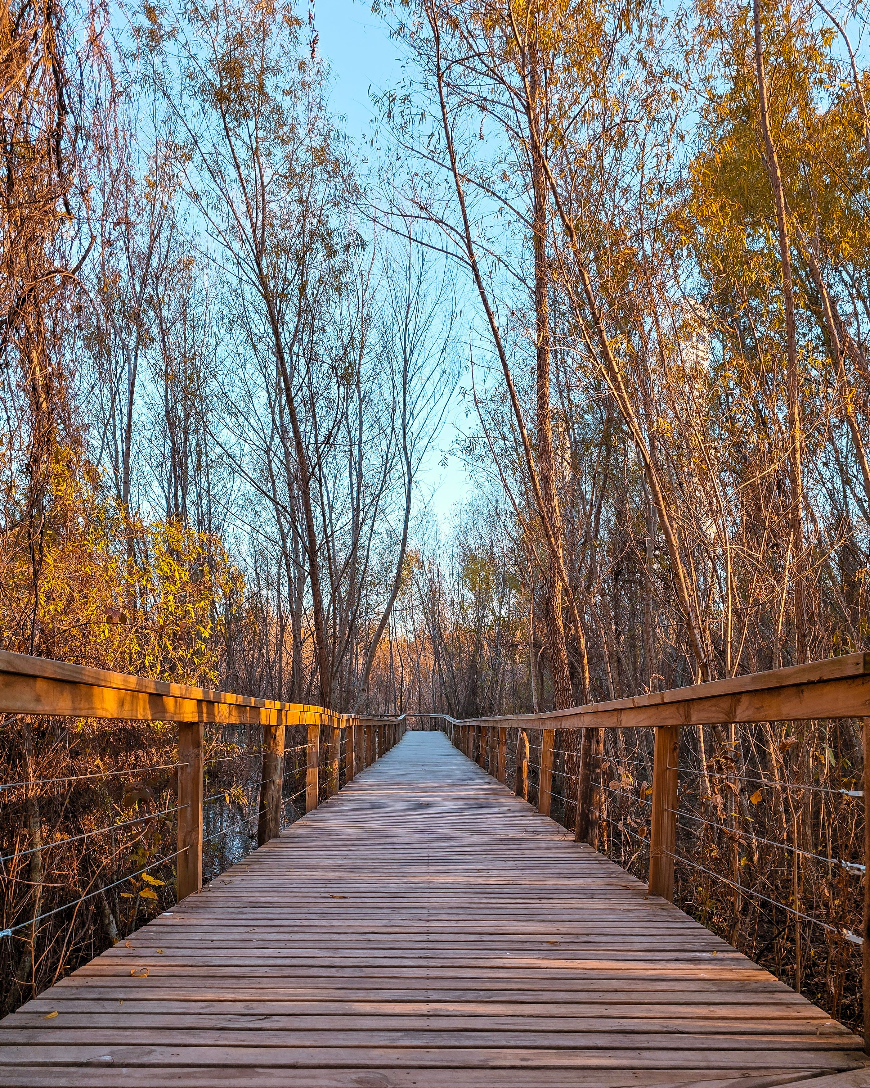 Peaceful Scenery Photos, Download The BEST Free Peaceful Scenery Stock ...