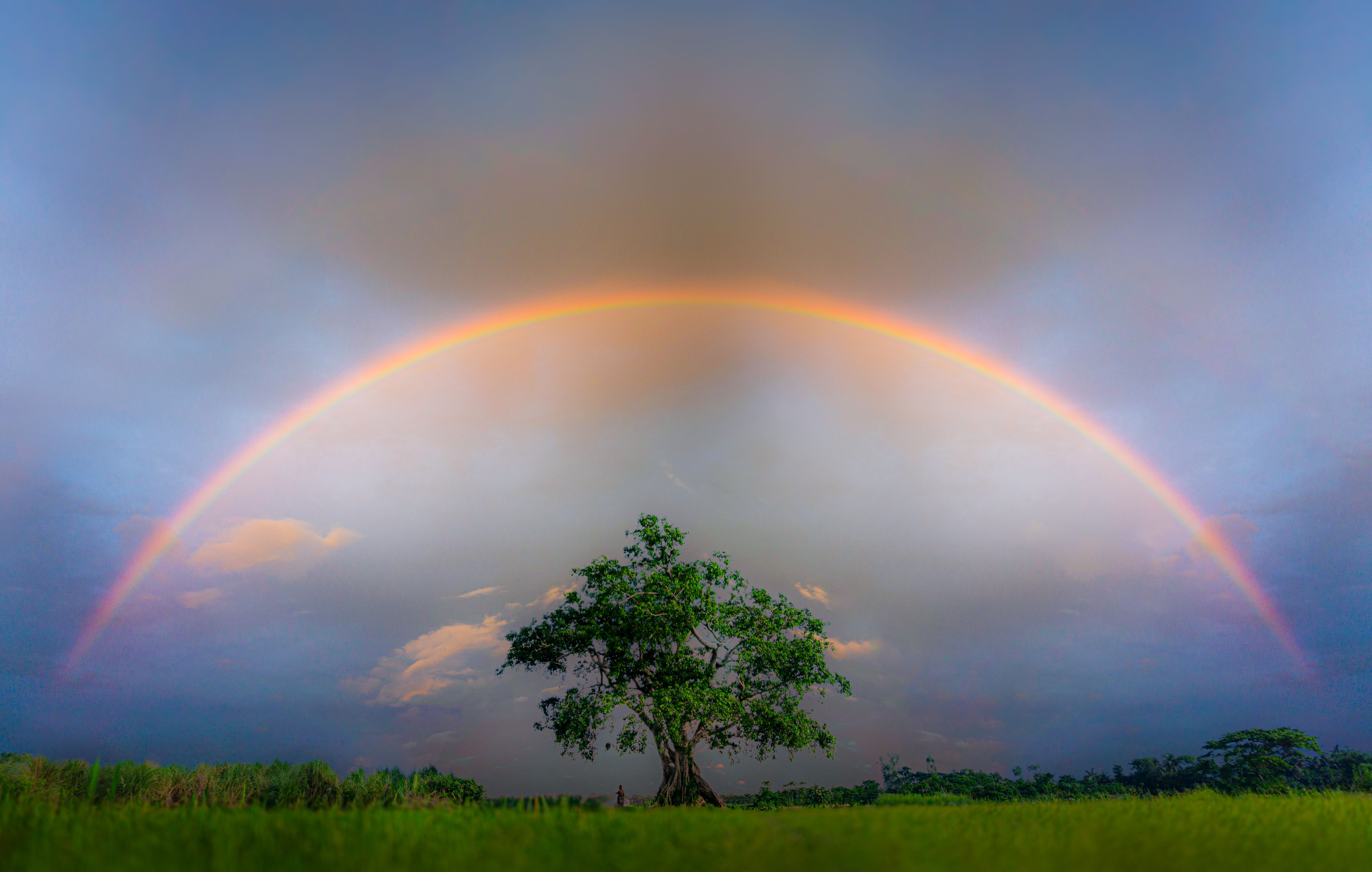 Crop Field Under Rainbow and Cloudy Skies at Dayime · Free Stock Photo