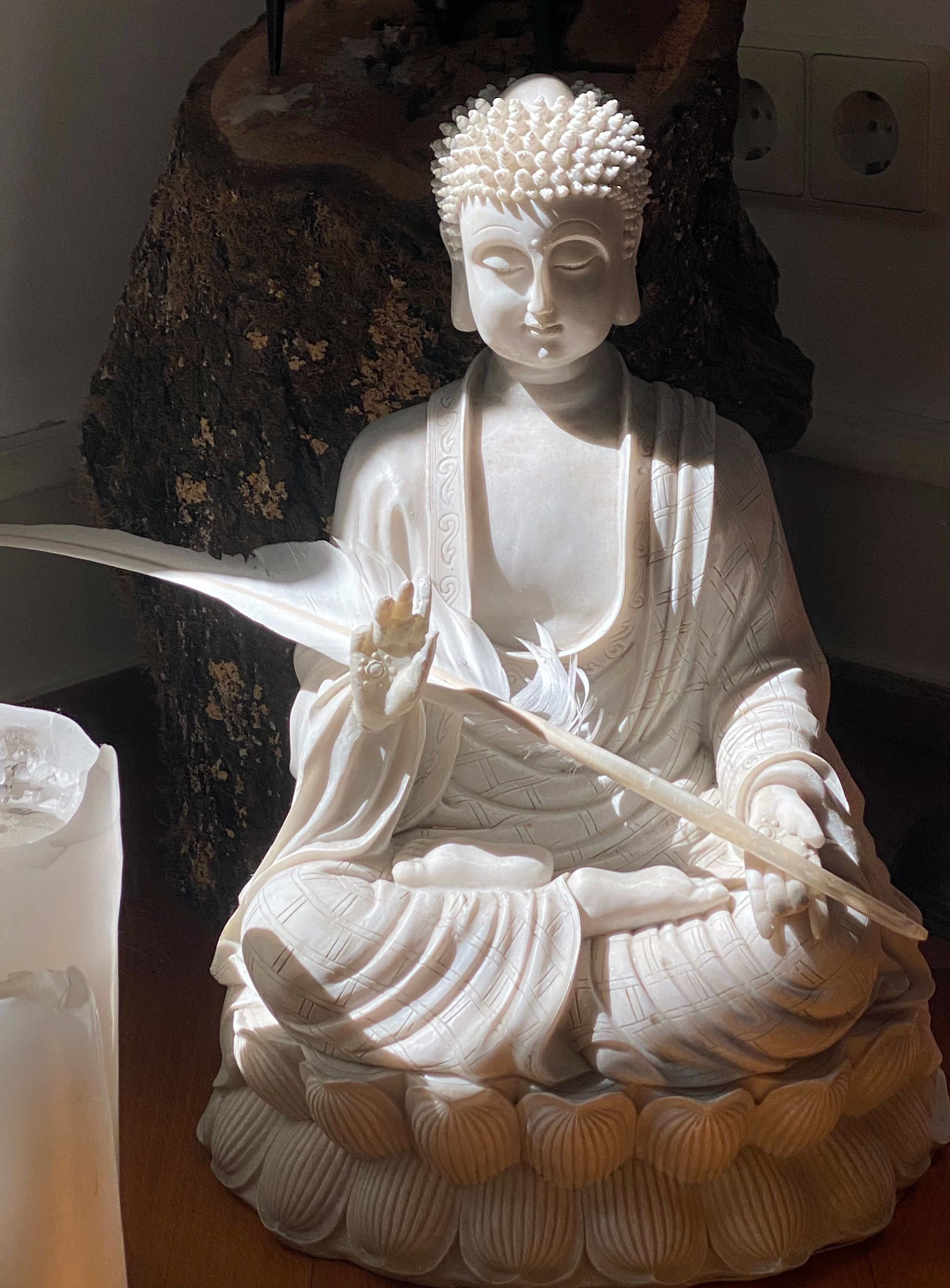 Enlightenment Photos, Download The BEST Free Enlightenment Stock Photos ...
