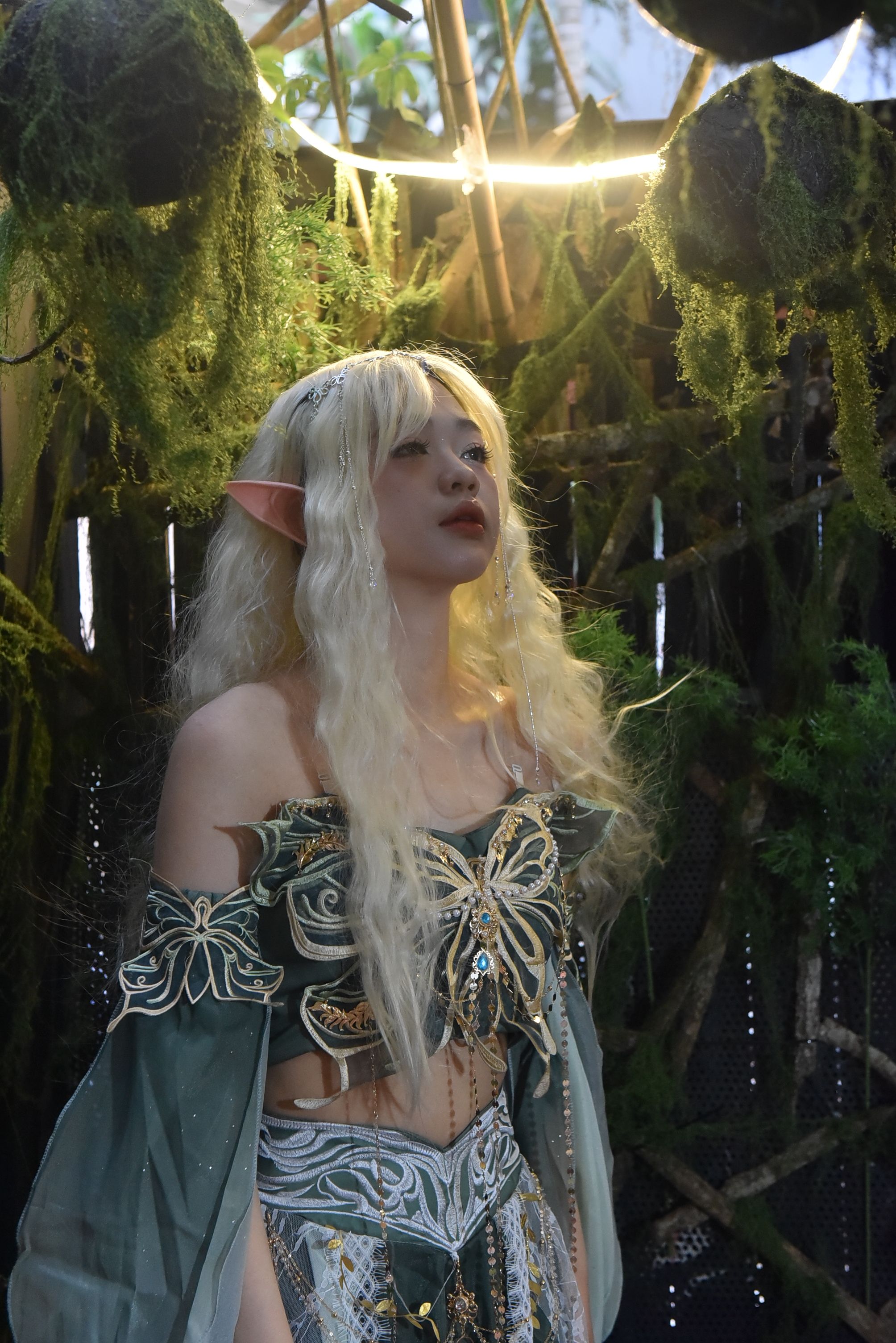 Animated Fairy Photos, Download The BEST Free Animated Fairy Stock ...