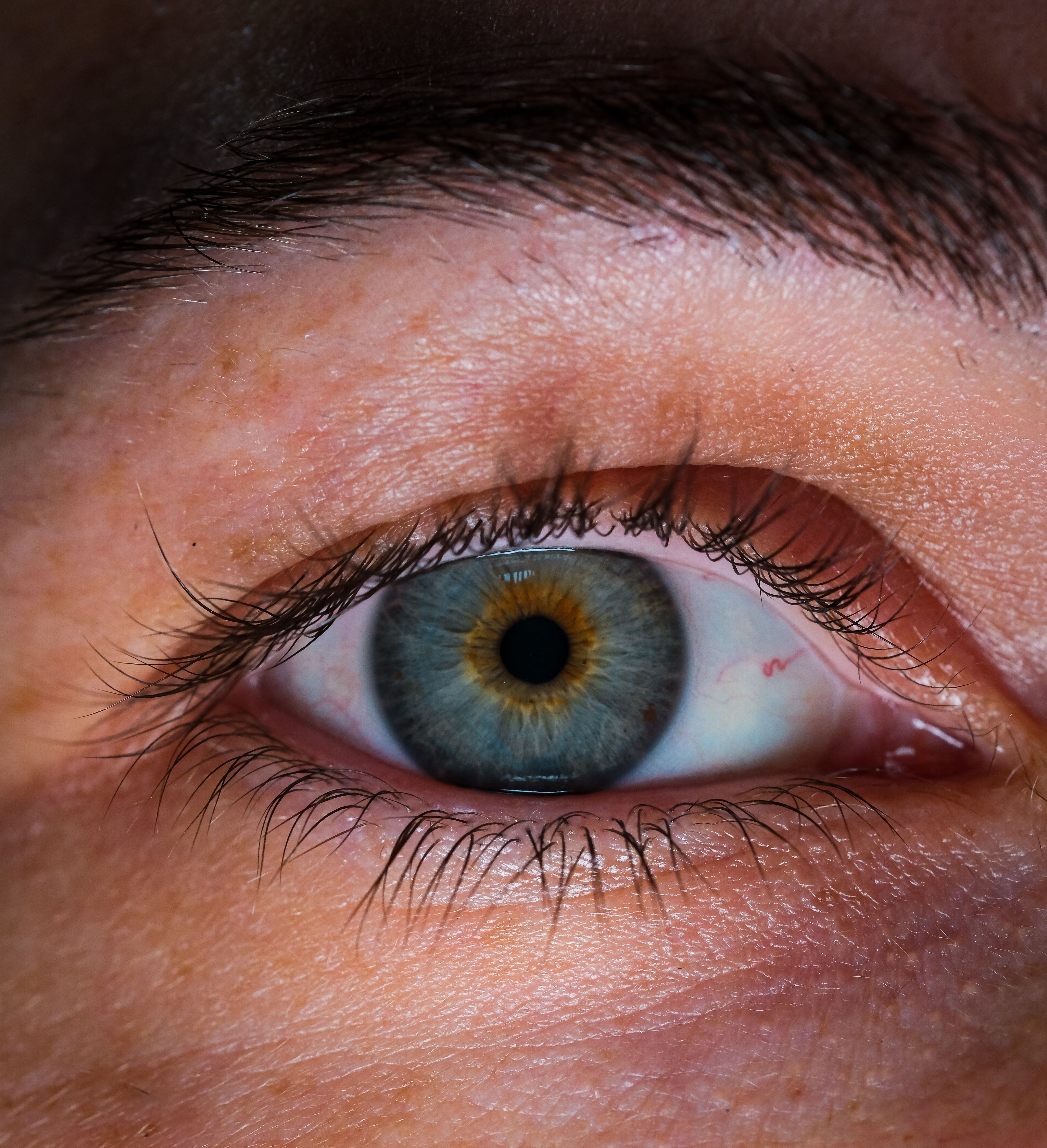 Close-up of a Human Blue Eye · Free Stock Photo