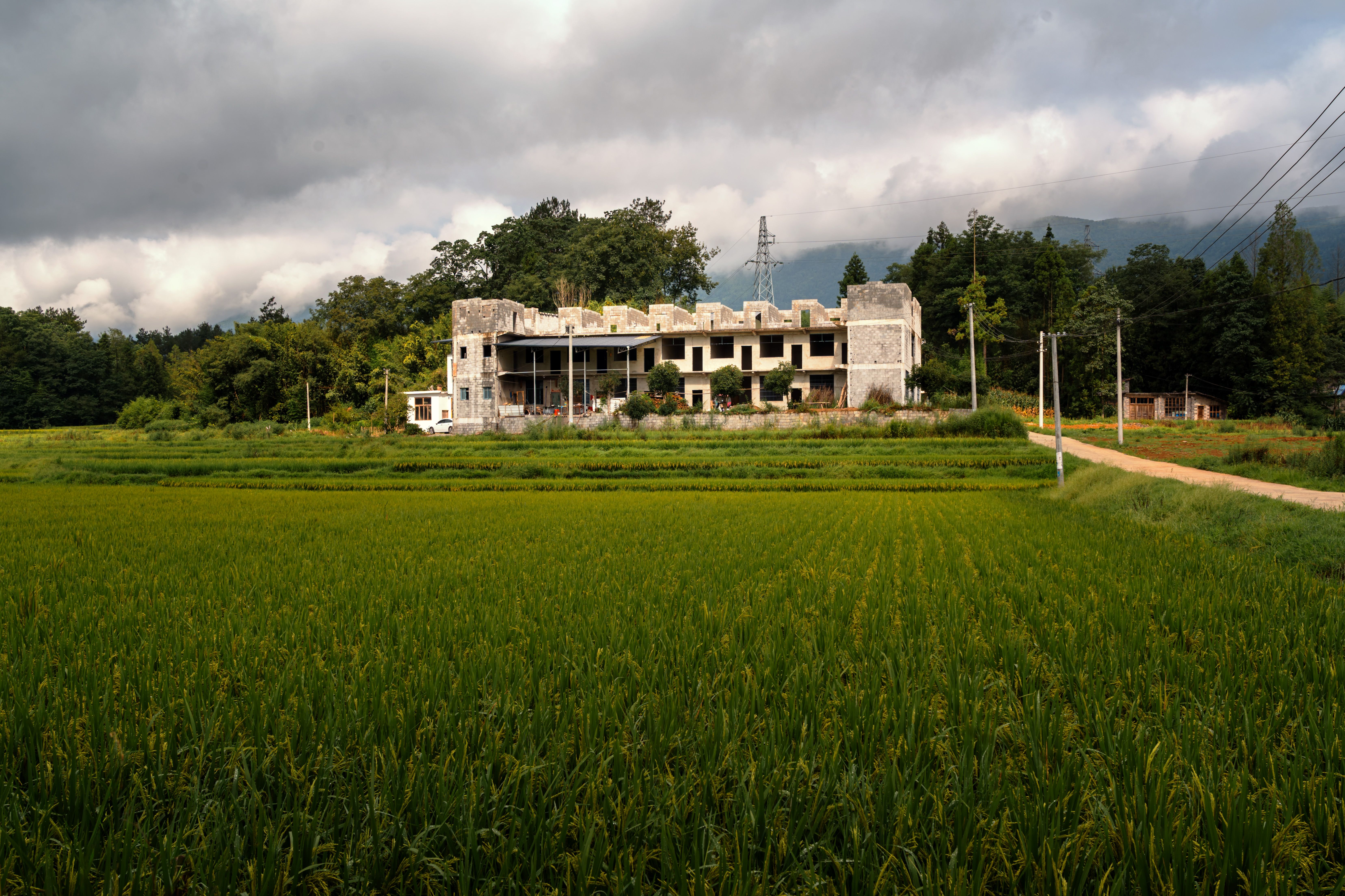 Abandoned Rural Building in Lush Green Field · Free Stock Photo