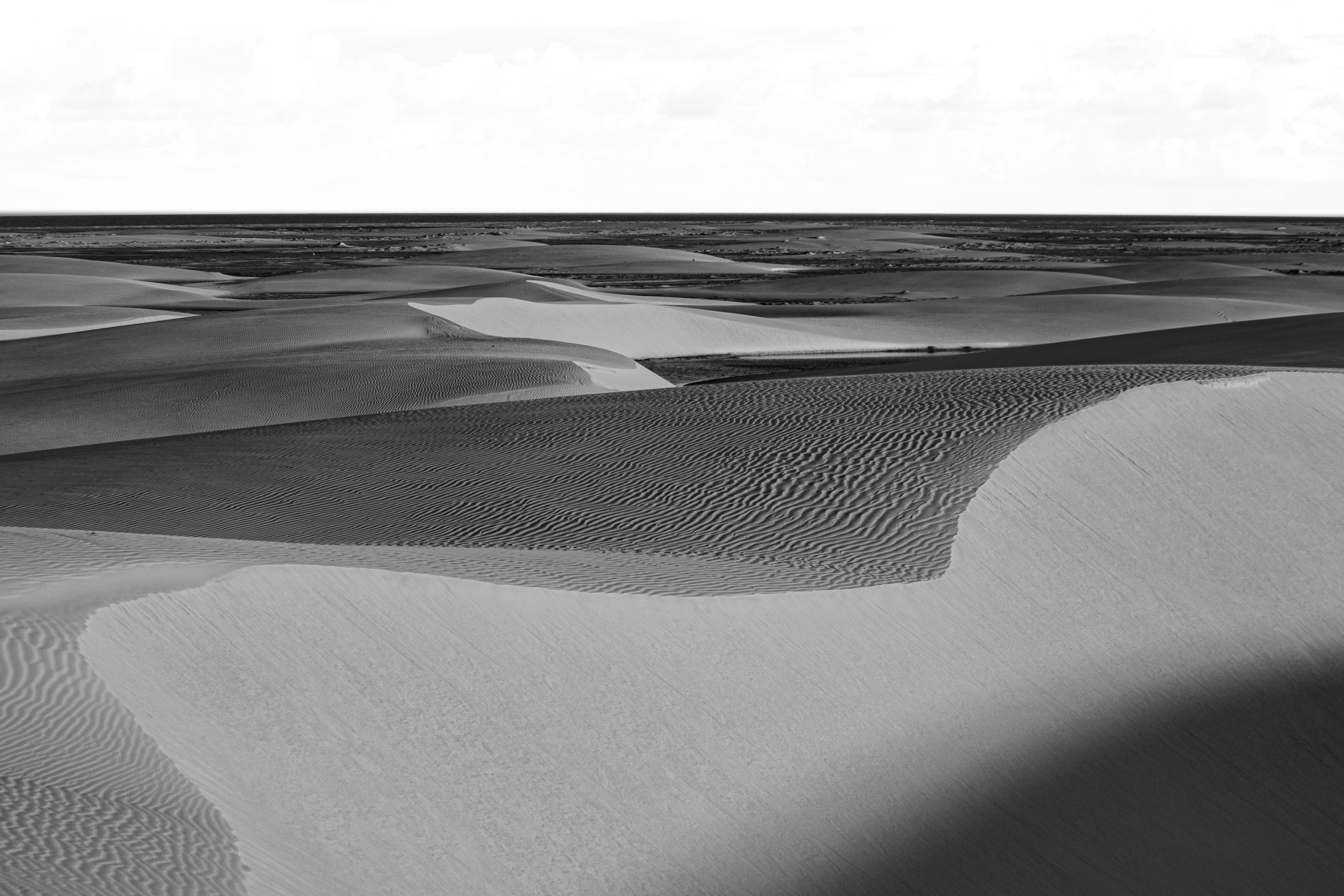 Impresionante Paisaje Desértico En Blanco Y Negro · Foto de stock gratuita