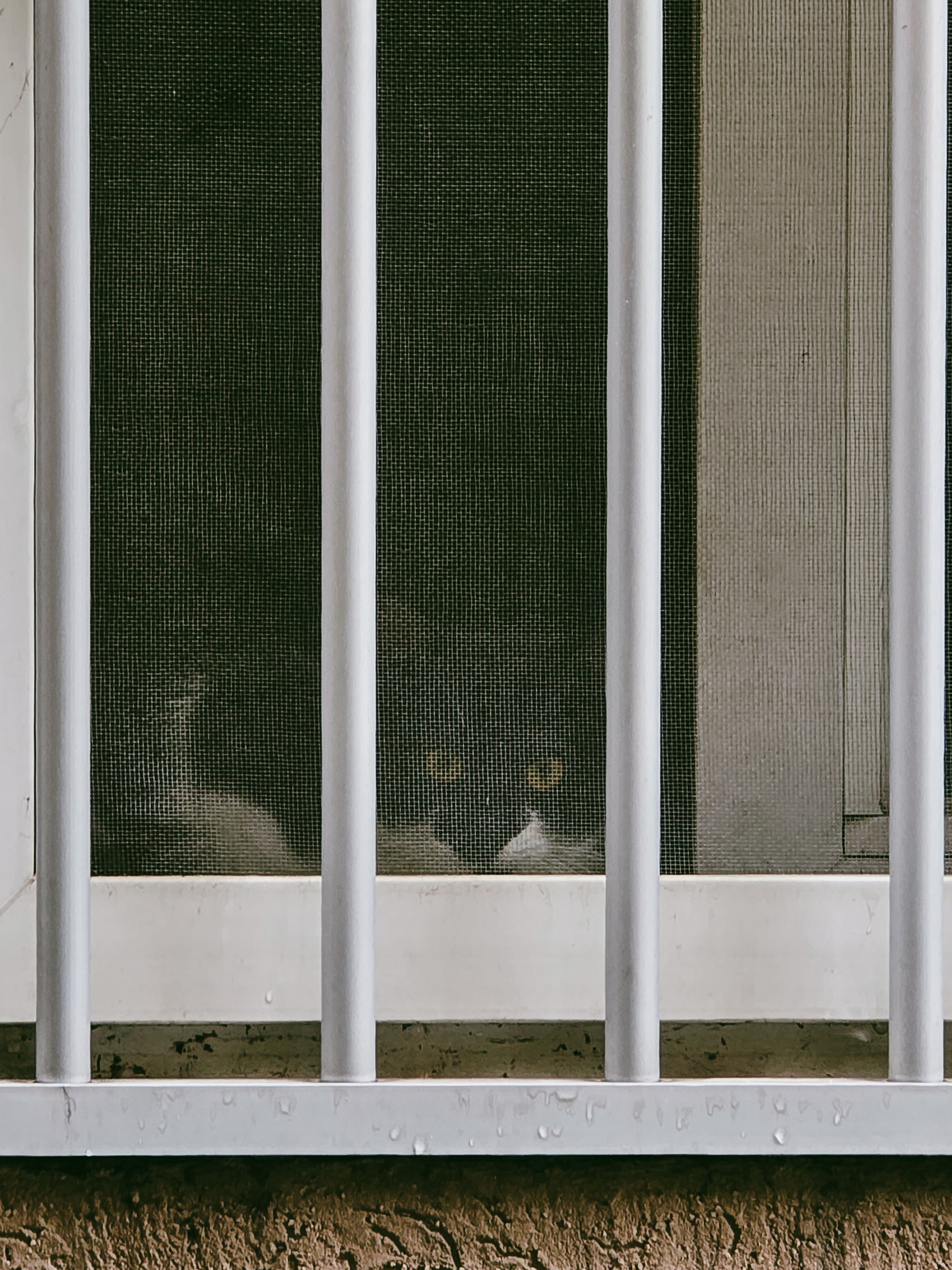 Window Screen Photos, Download The BEST Free Window Screen Stock Photos ...