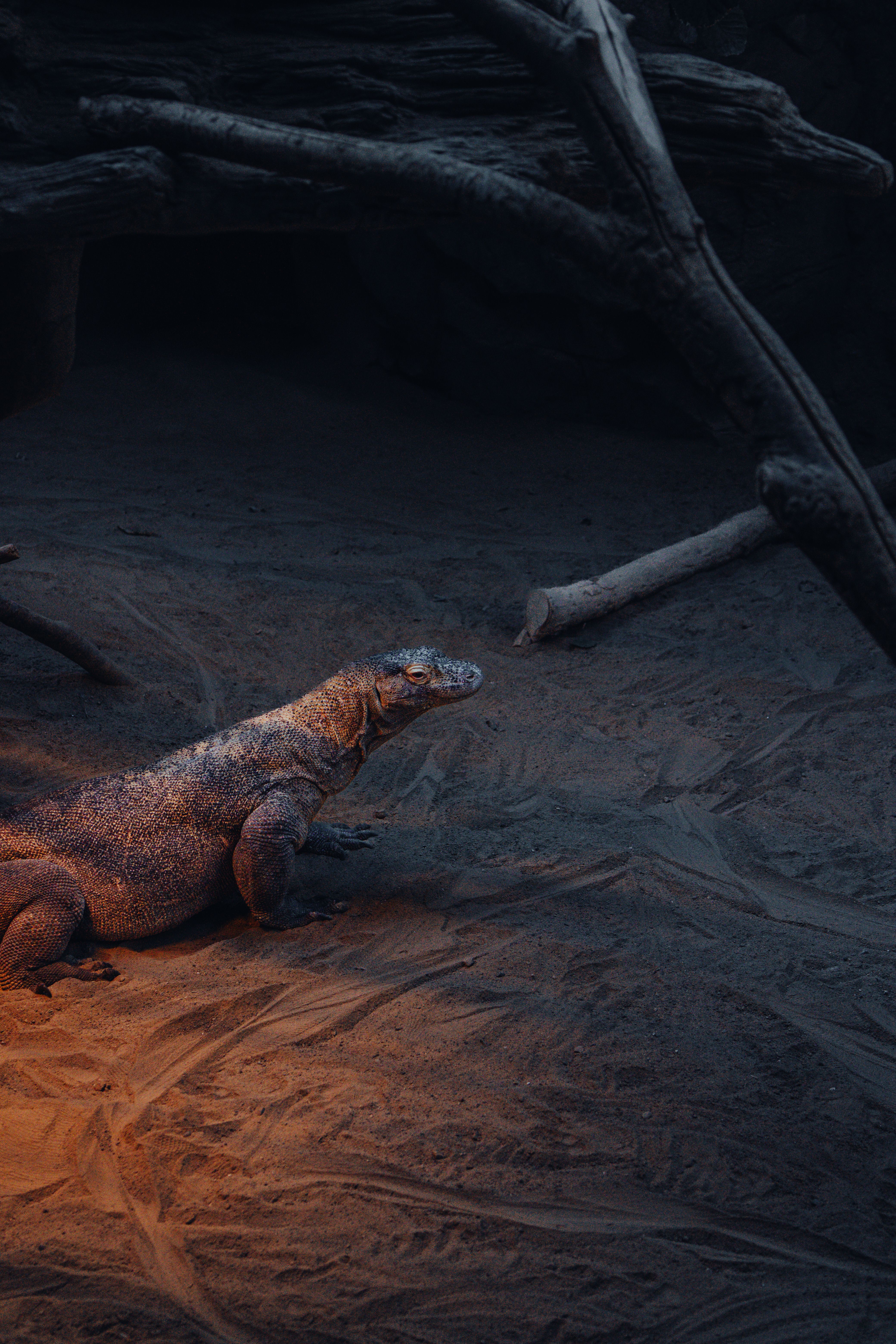 Desktop Wallpaper Interactive Dragon Cursor Photos, Download The BEST ...