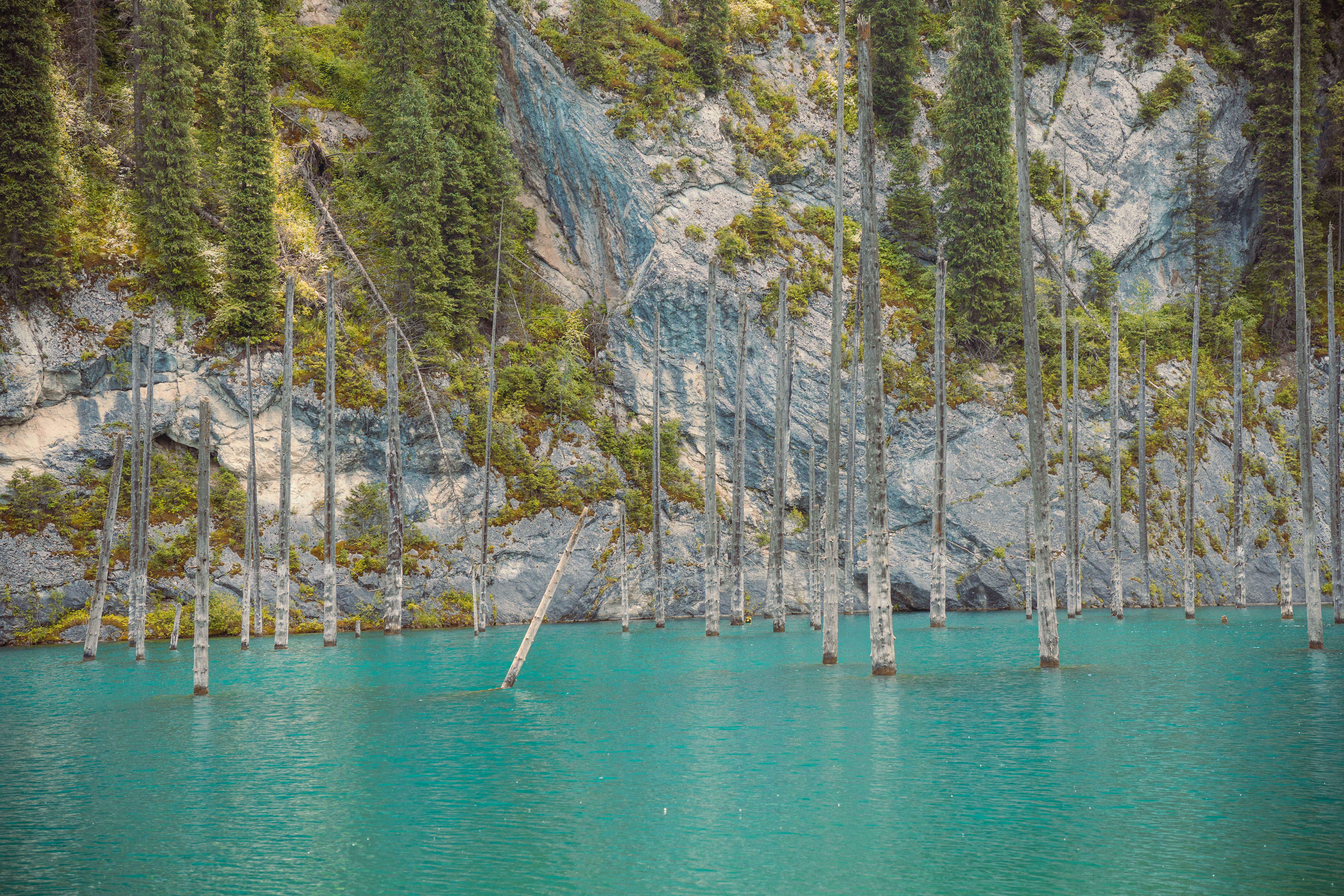 Tranquil Kaindy Lake with Submerged Trees, Kazakhstan · Free Stock Photo