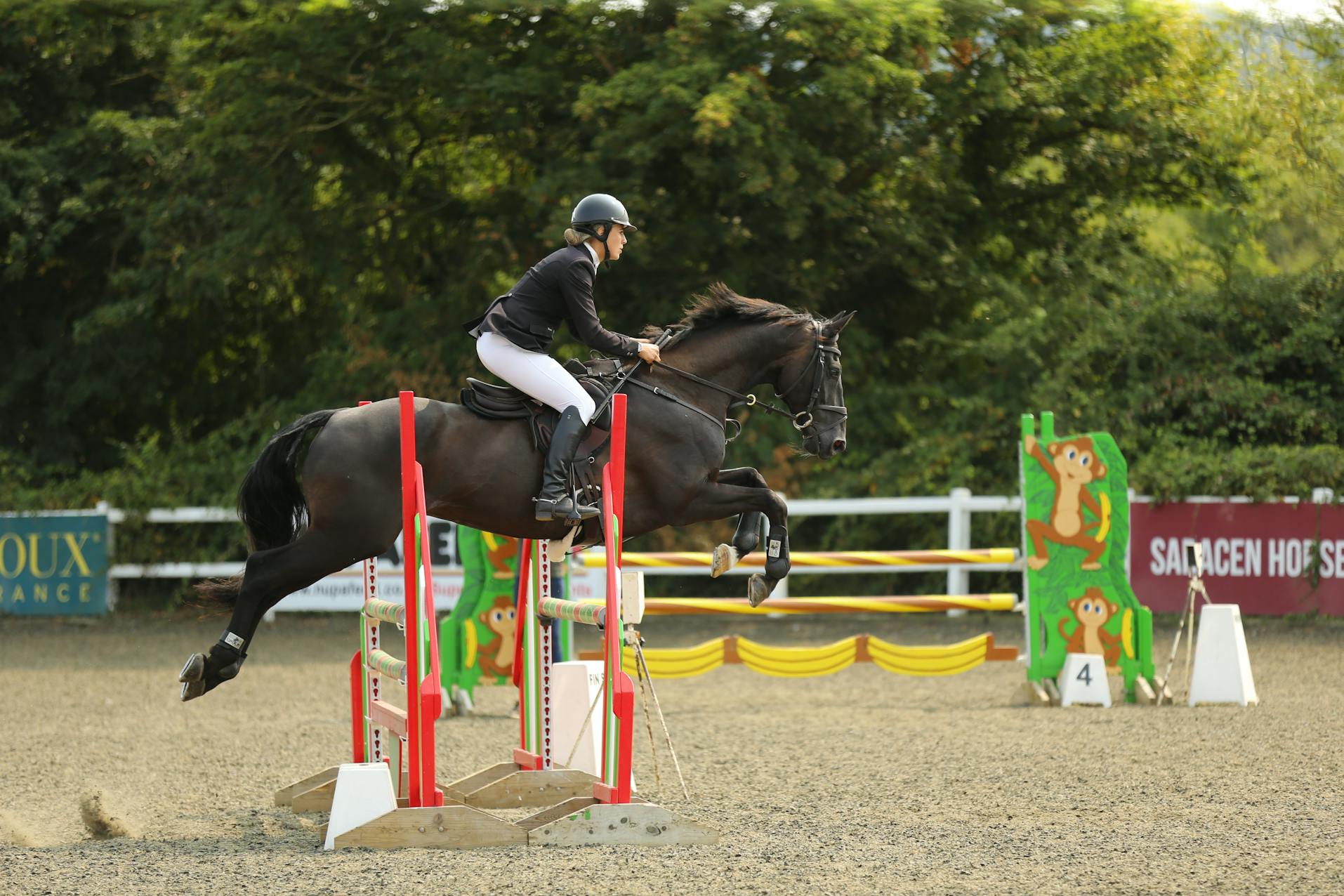 A Comprehensive Guide to Types of Horse Competitions