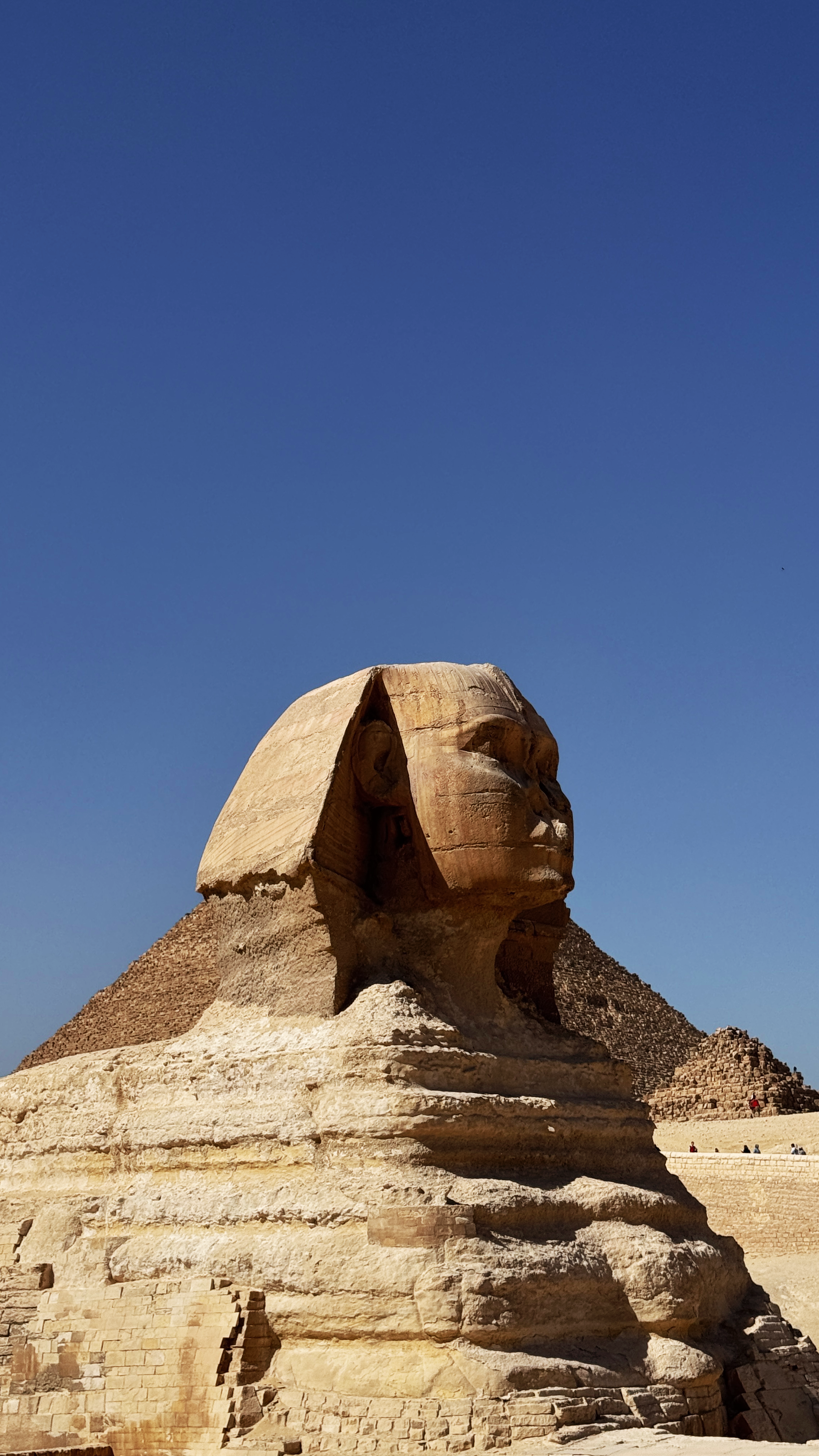 Side View of Great Sphinx Statue · Free Stock Photo