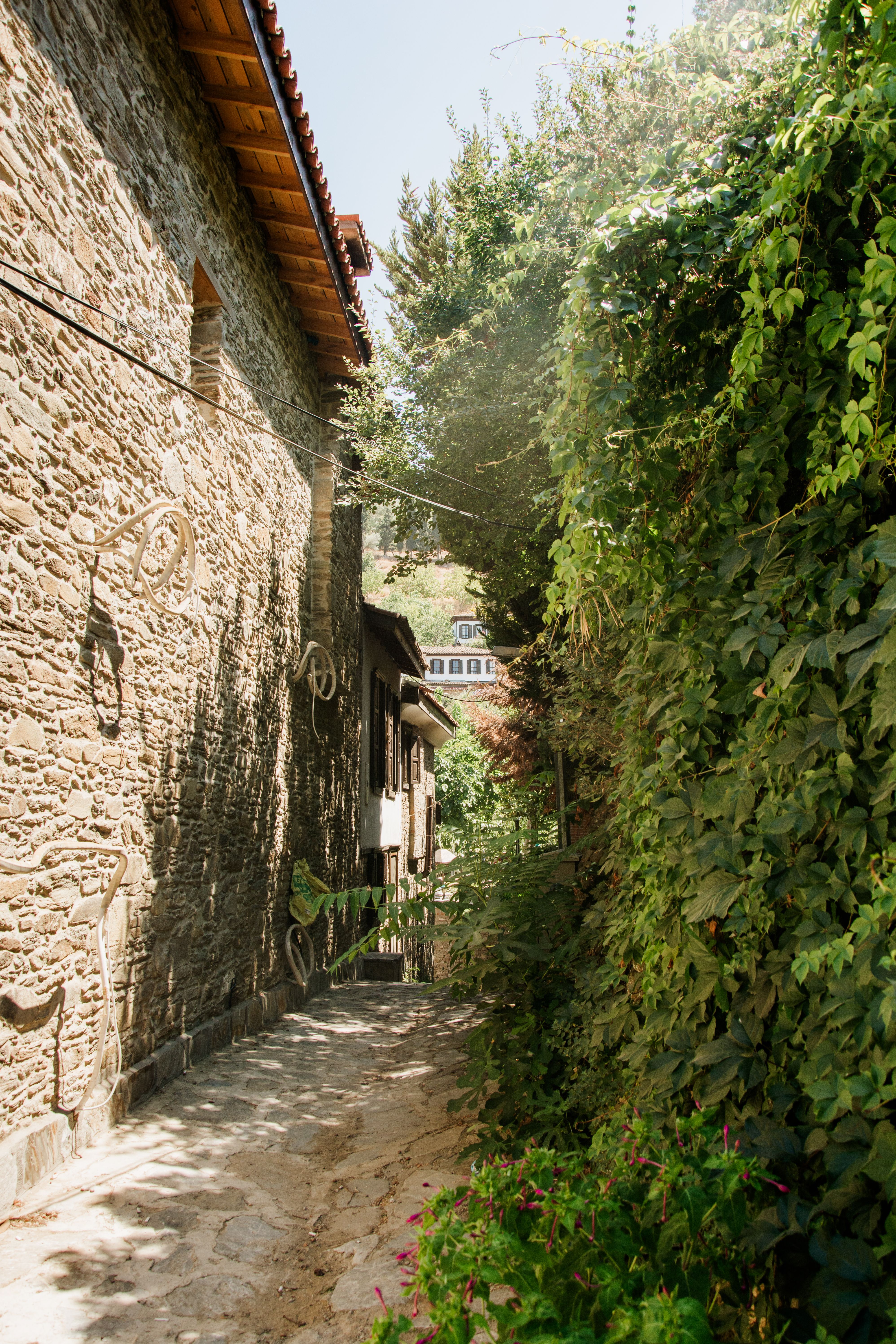 Un Encantador Callejón En Carro, Liguria, Italia · Foto de stock gratuita