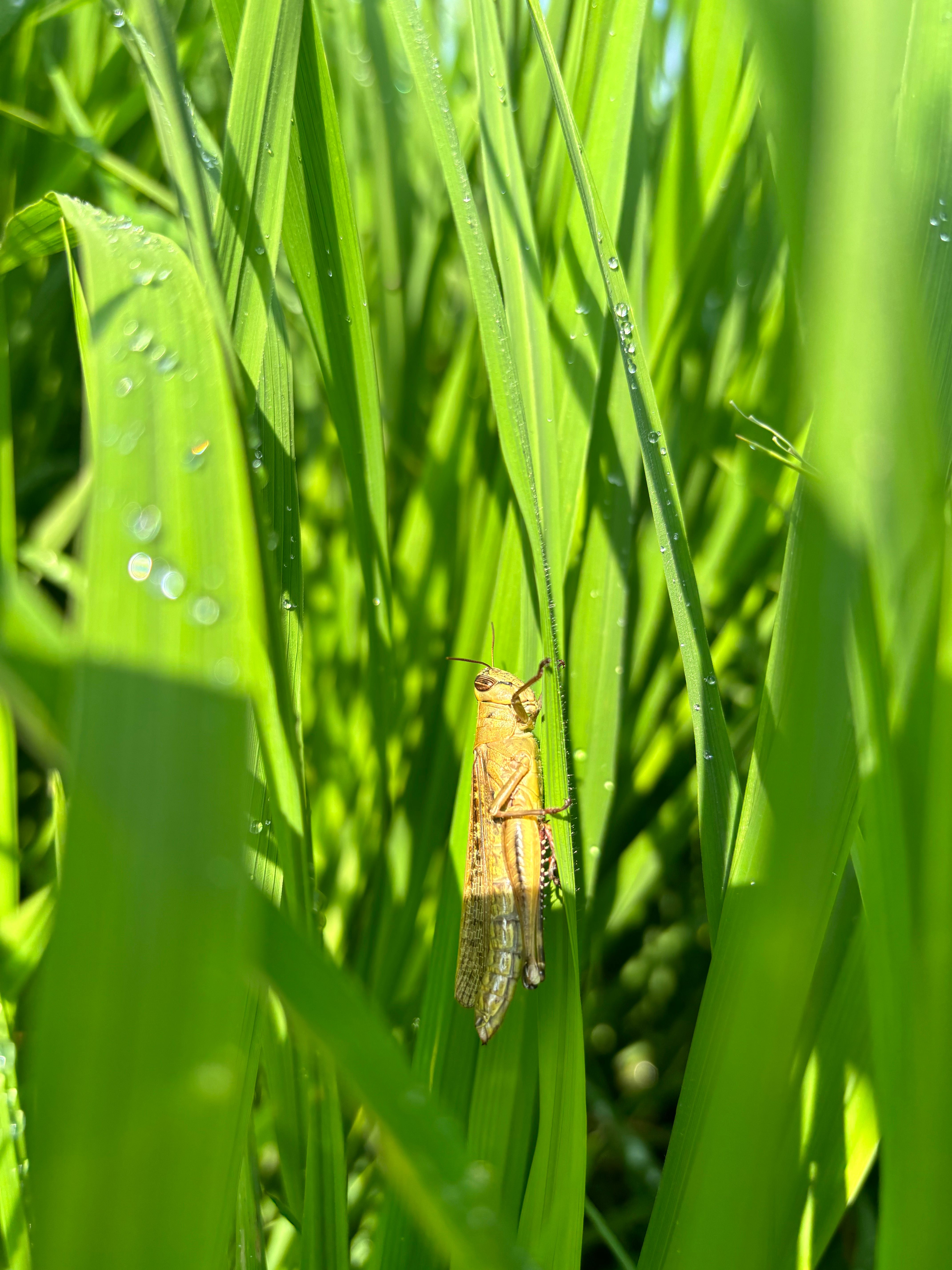 Living Things Photos, Download The BEST Free Living Things Stock Photos ...