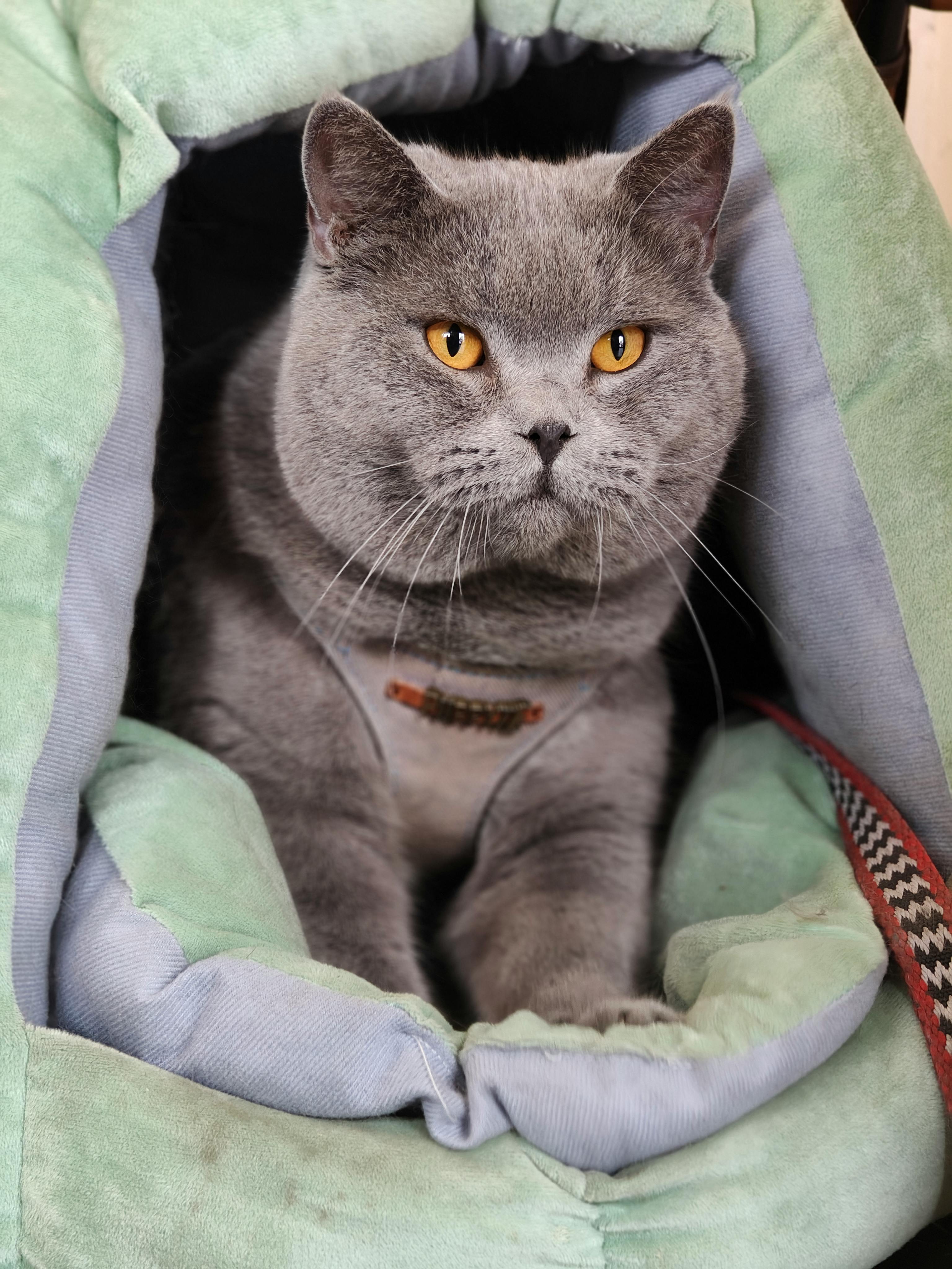 Kenny Foo – Fotografia