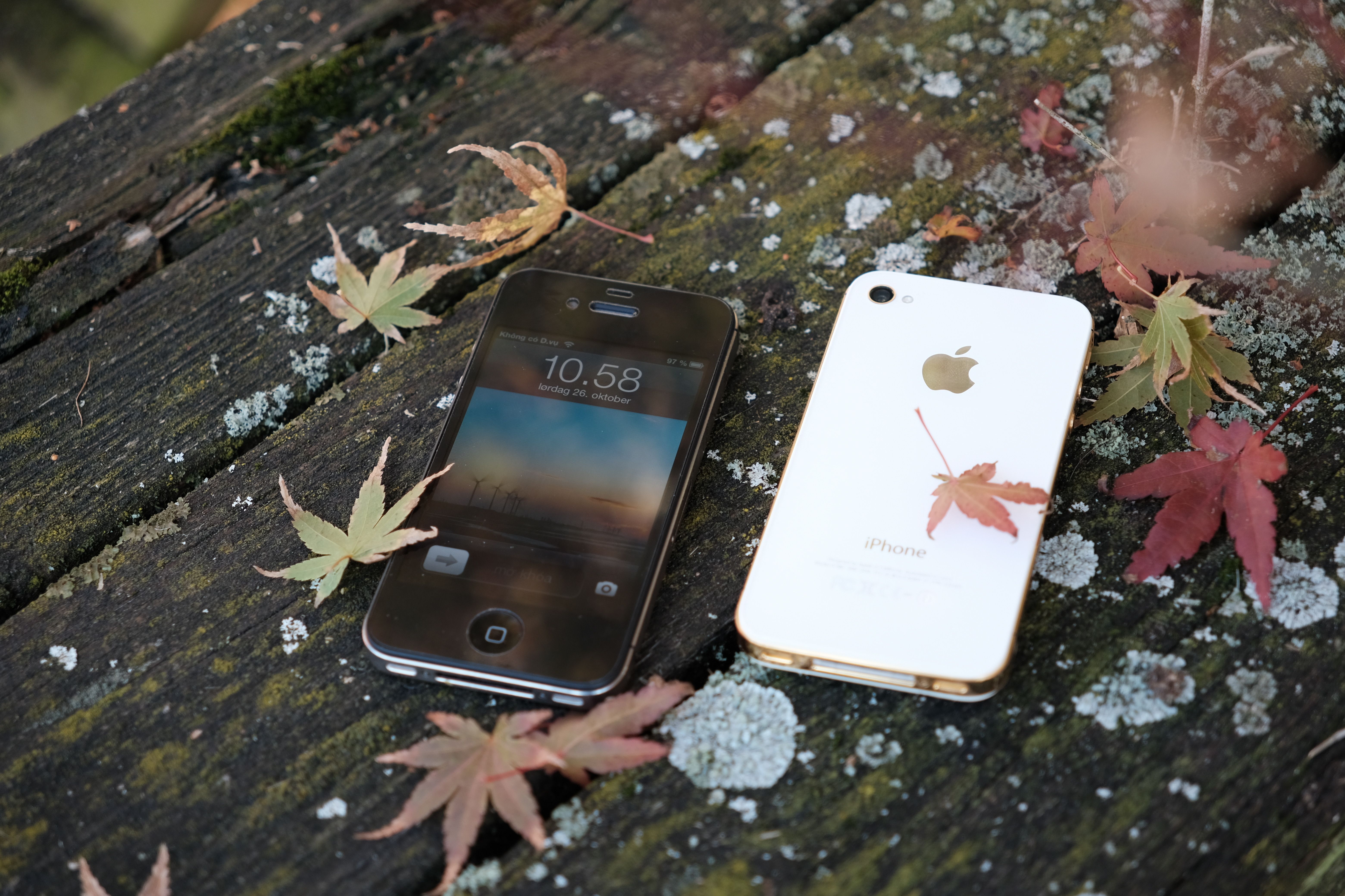 Autumn Leaves on iPhones Outdoor Snapshot · Free Stock Photo
