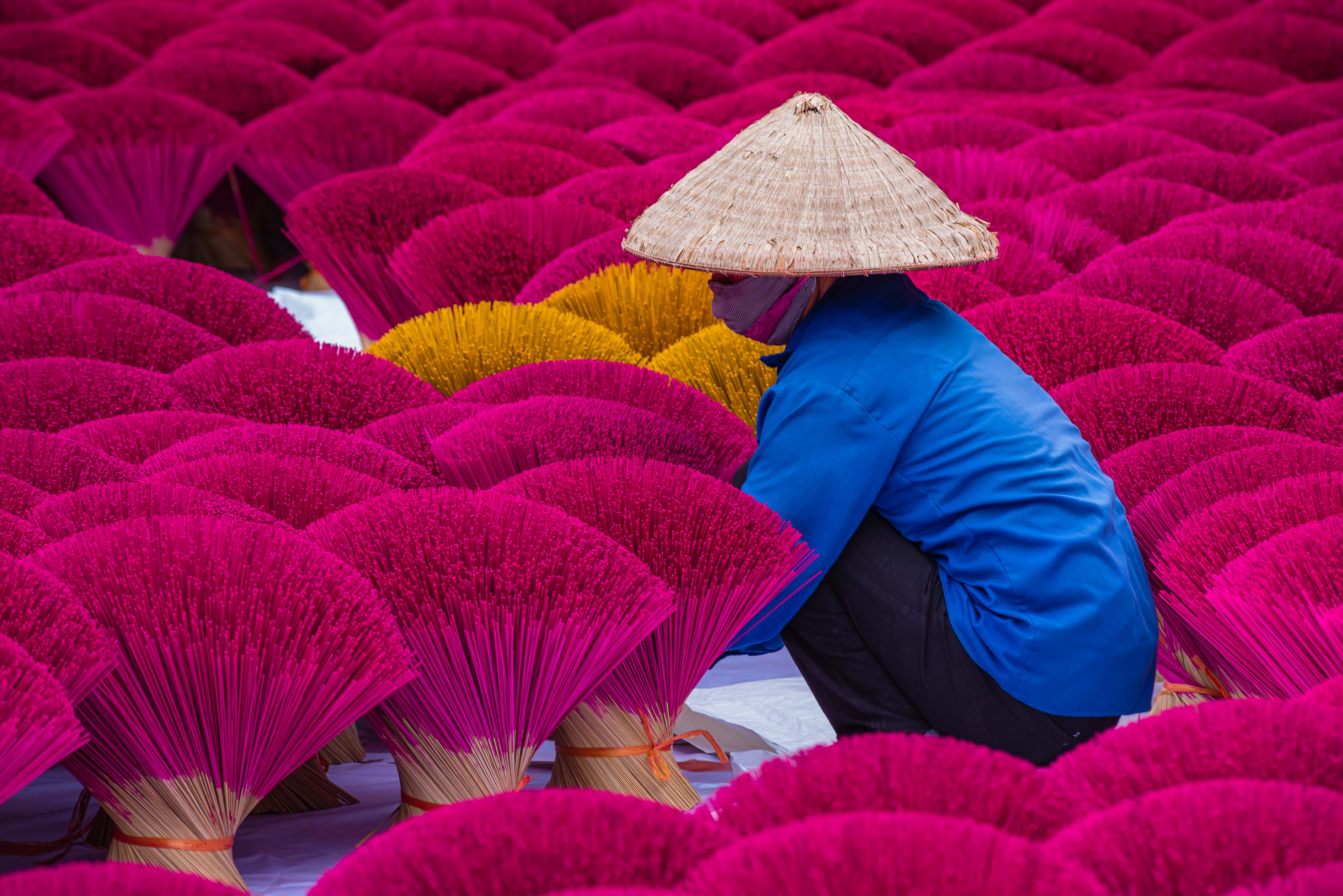 Vietnamese incense drying with worker side view · Free Stock Photo