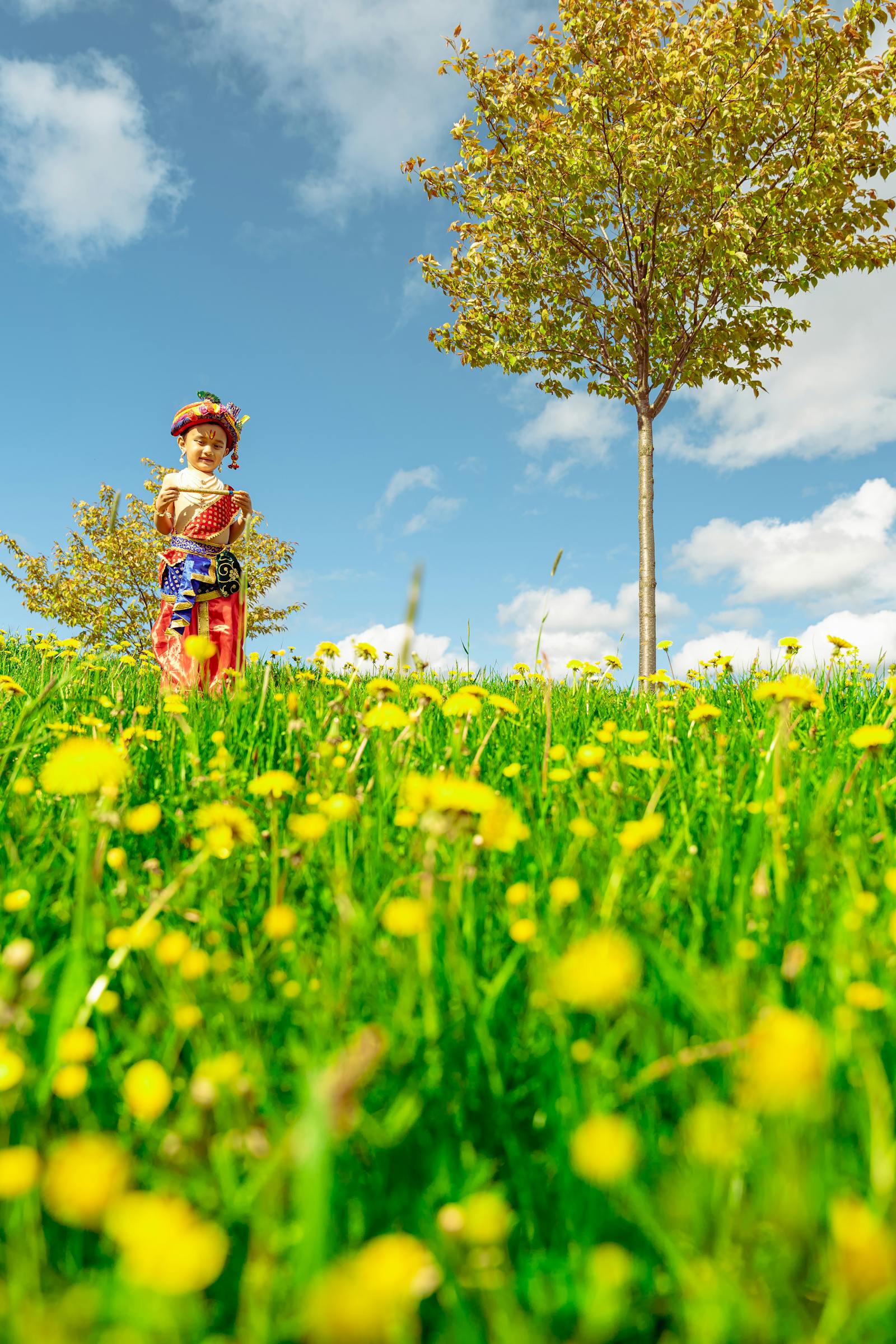 Sigma Boy Photos, Download The BEST Free Sigma Boy Stock Photos & HD Images