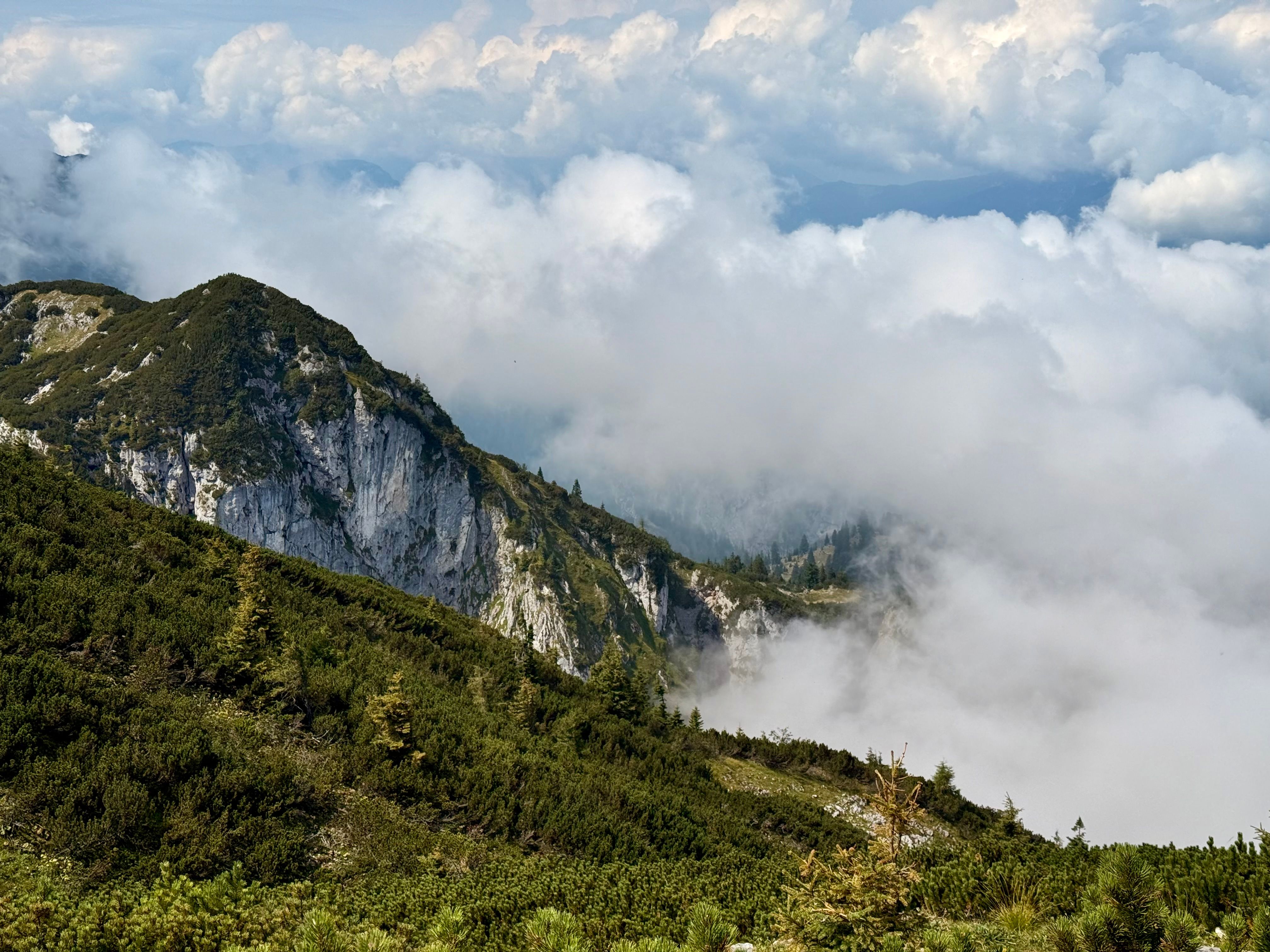 In The Clouds Photos, Download The BEST Free In The Clouds Stock Photos ...