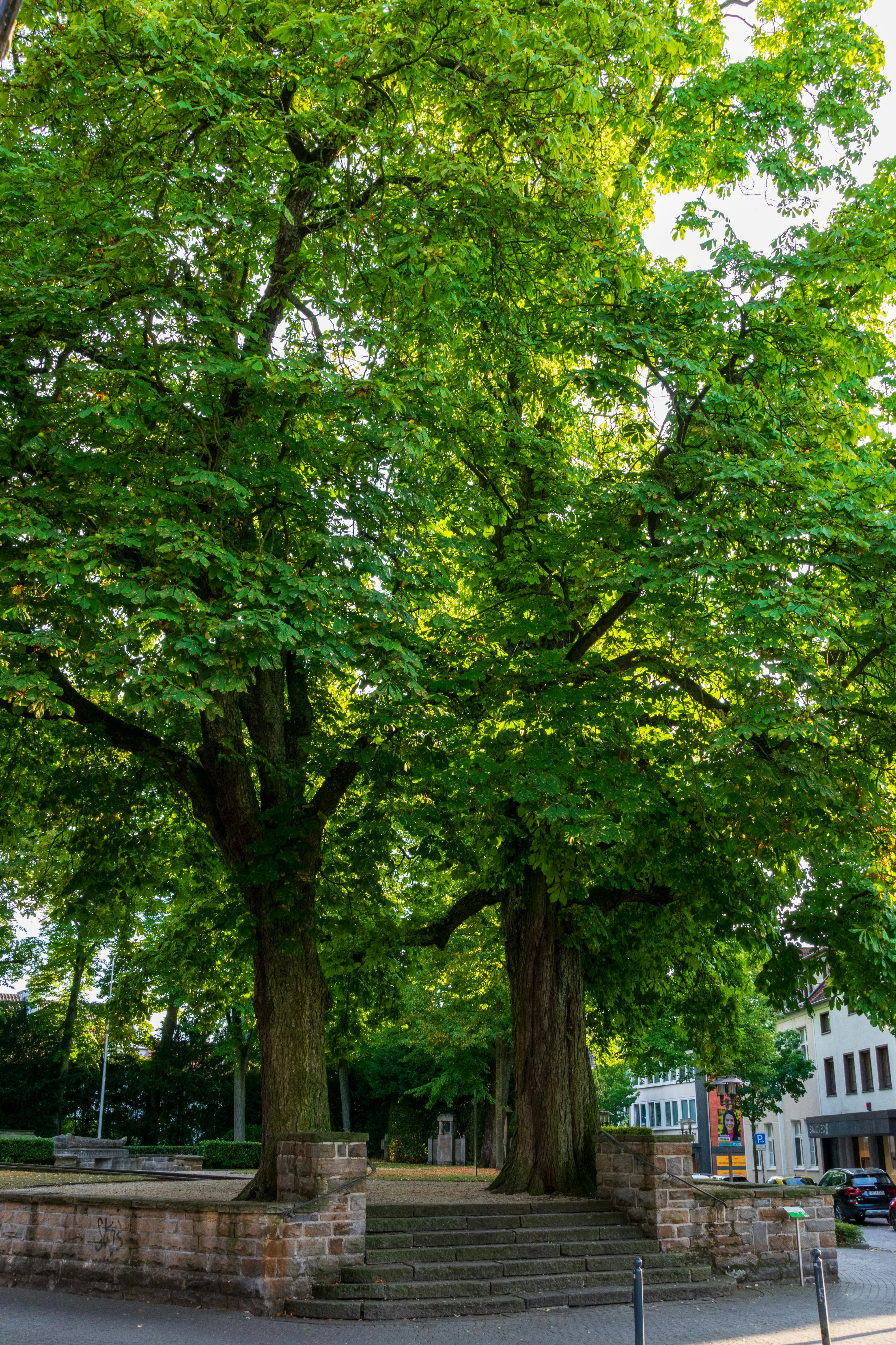 Square Root 123 Photos, Download The BEST Free Square Root 123 Stock ...