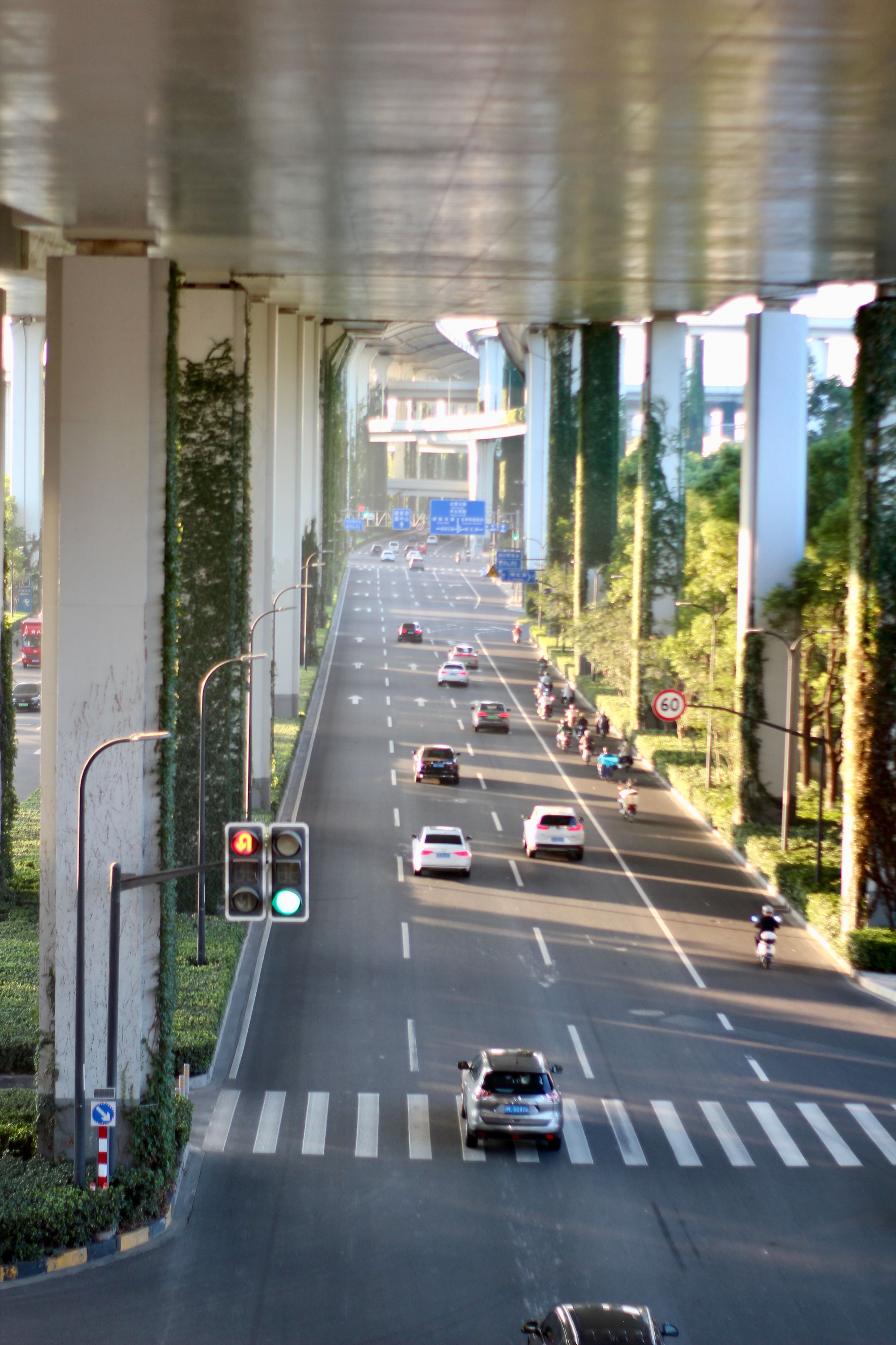 Elevated Highway with Traffic in Daylight · Free Stock Photo