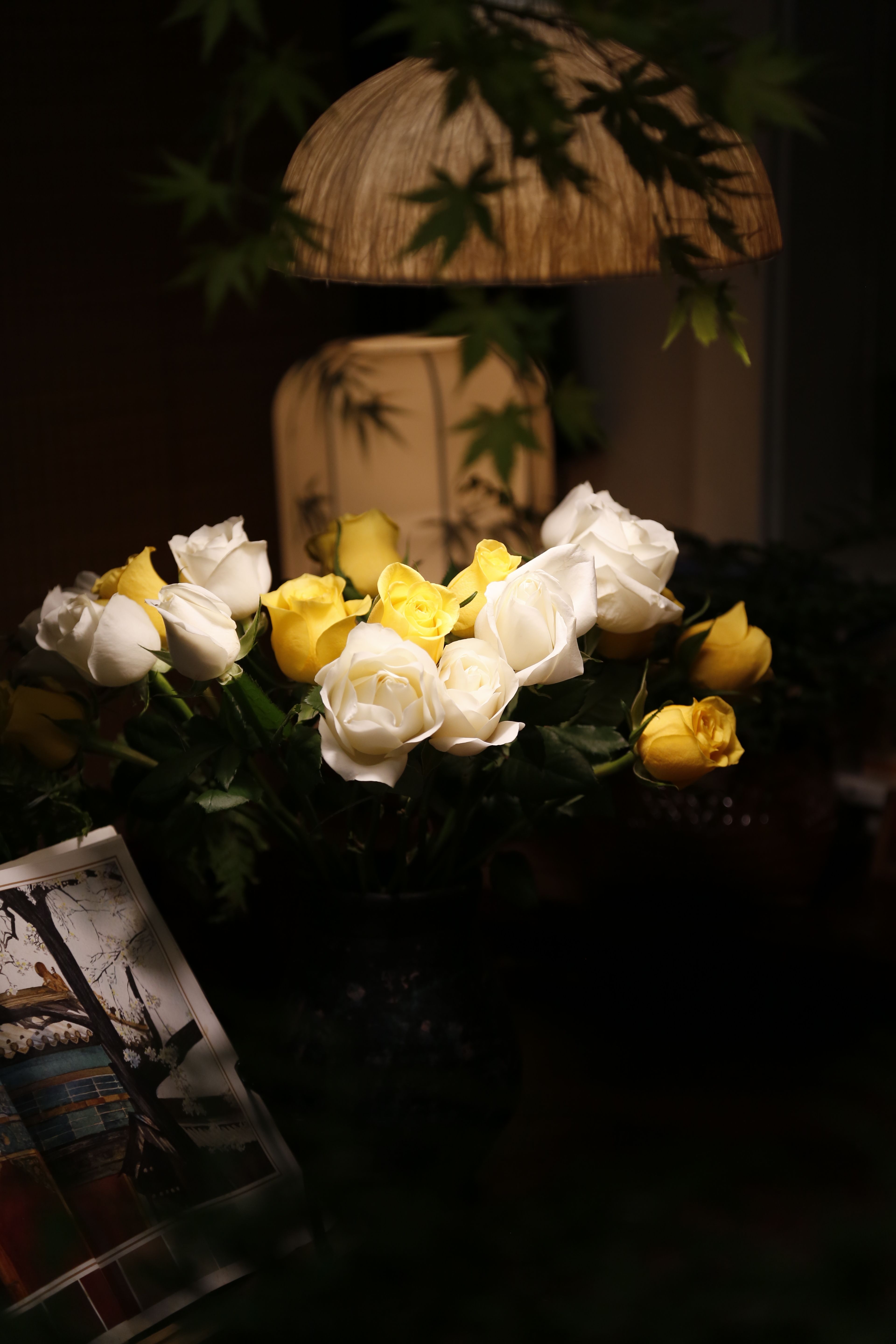 Elegant Yellow and White Roses Under Soft Lamp Light · Free Stock Photo