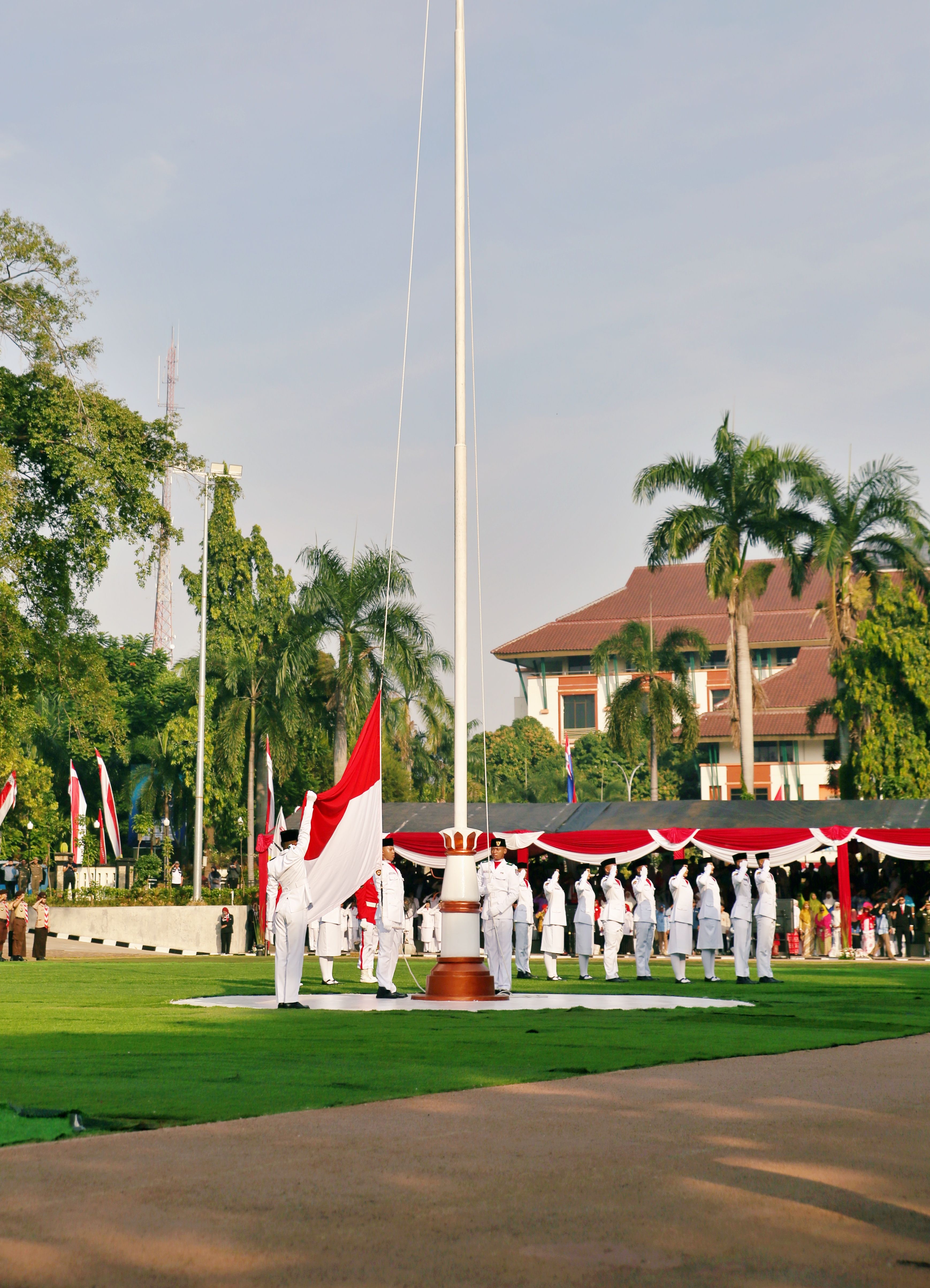 Independence Day Flag Ceremony in Park Setting · Free Stock Photo