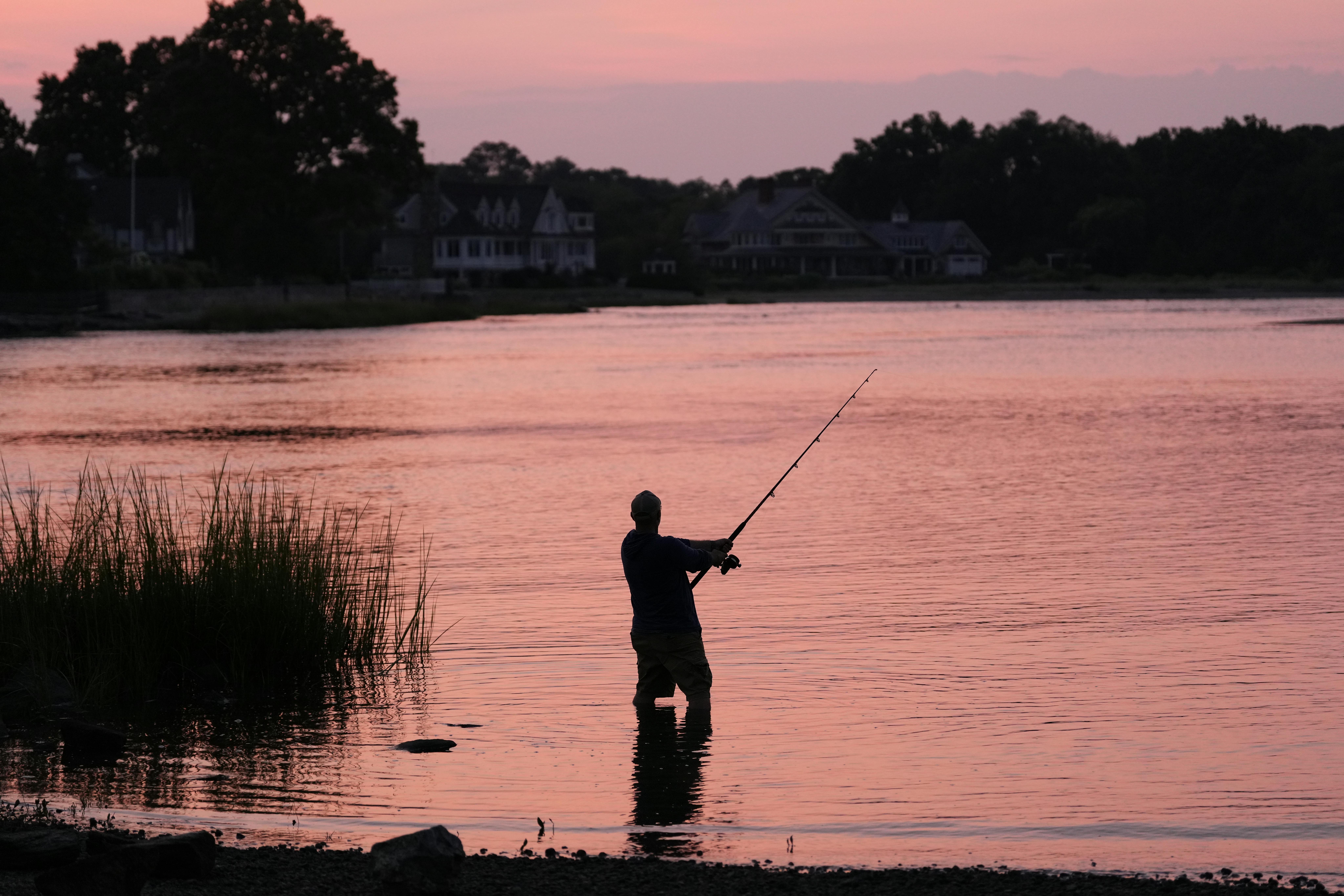 Tranquil Morning Fishing at Cove Island Park, Stamford · Free Stock Photo