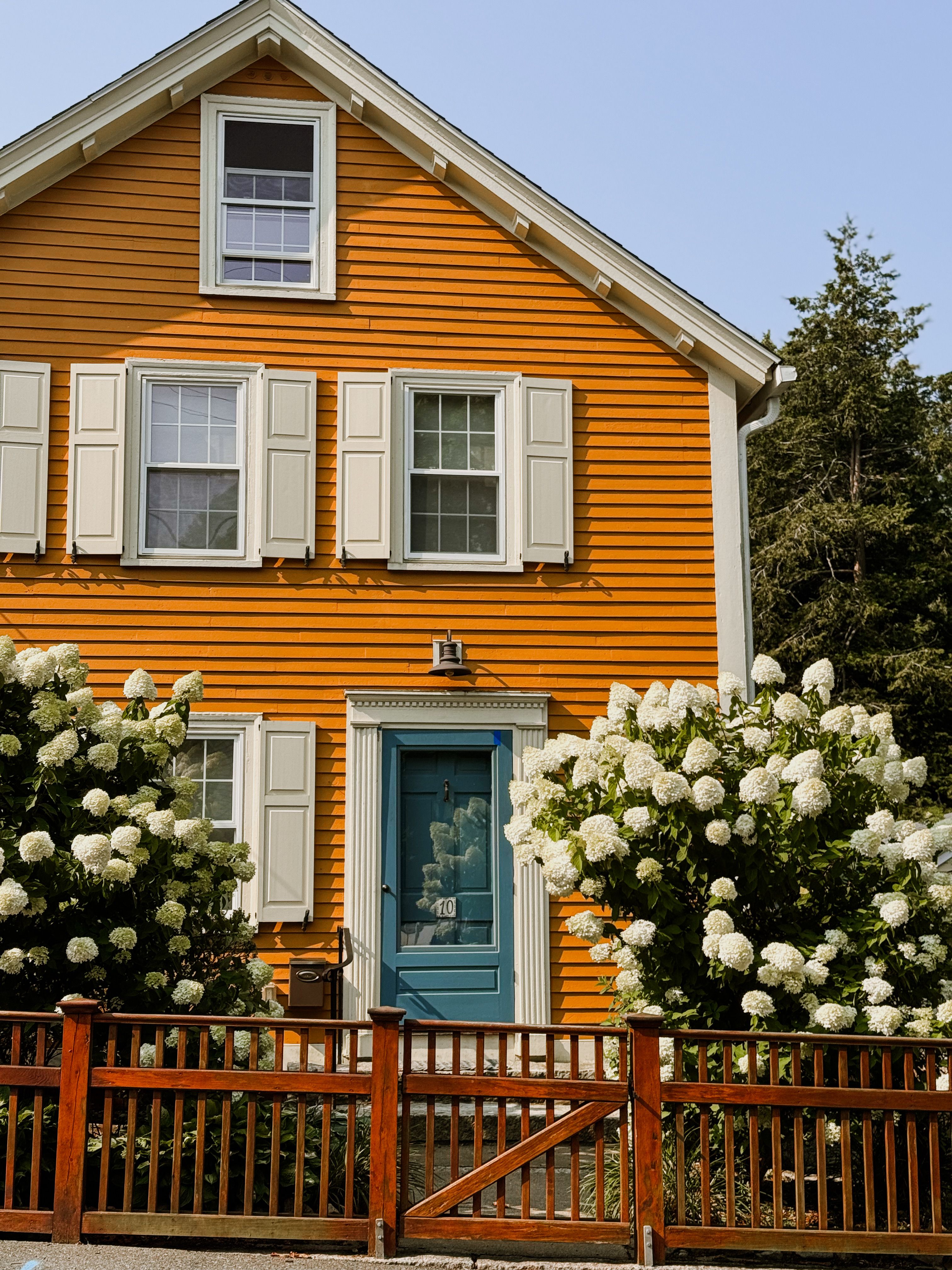 Charming Spring Cottage with Cherry Blossoms · Free Stock Photo