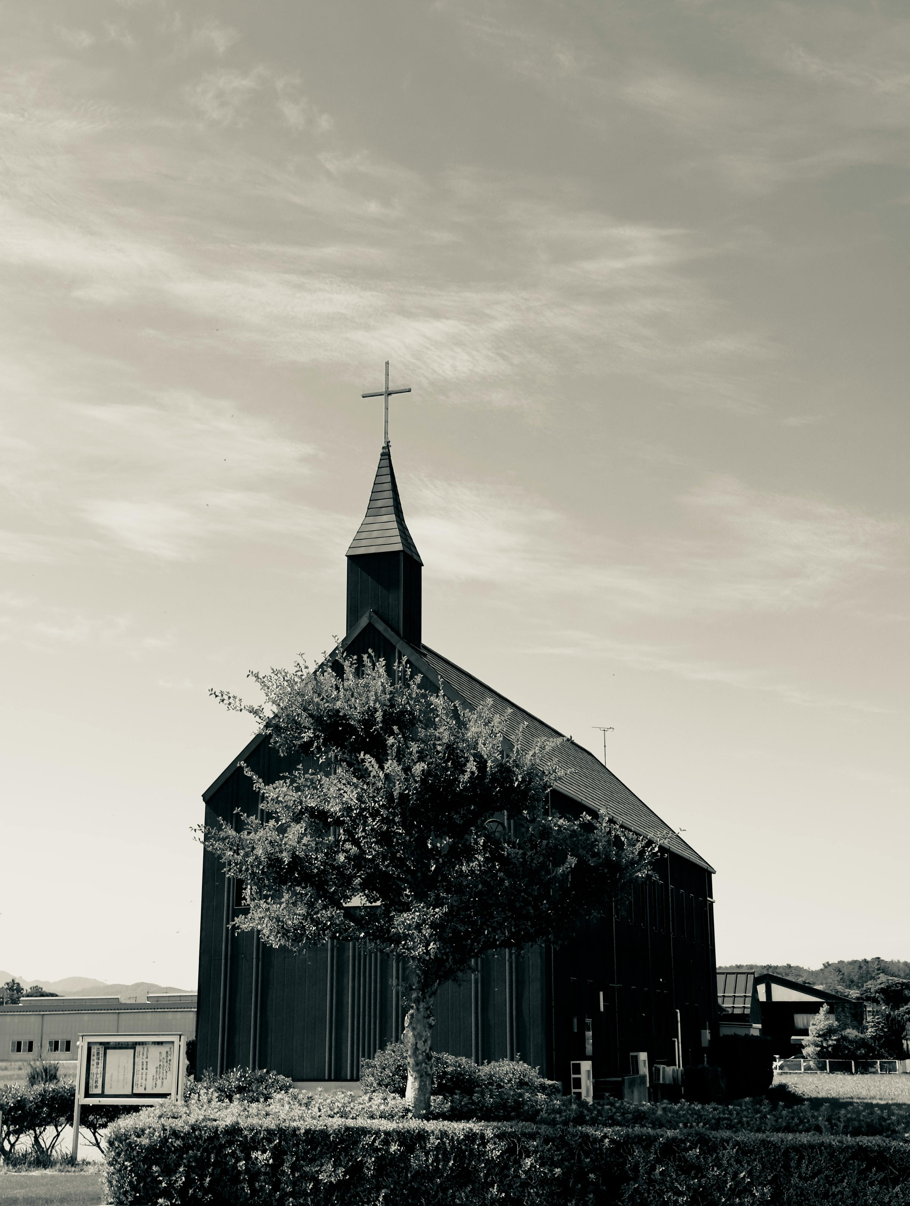 Dr. Mohammad Hoque - Photography