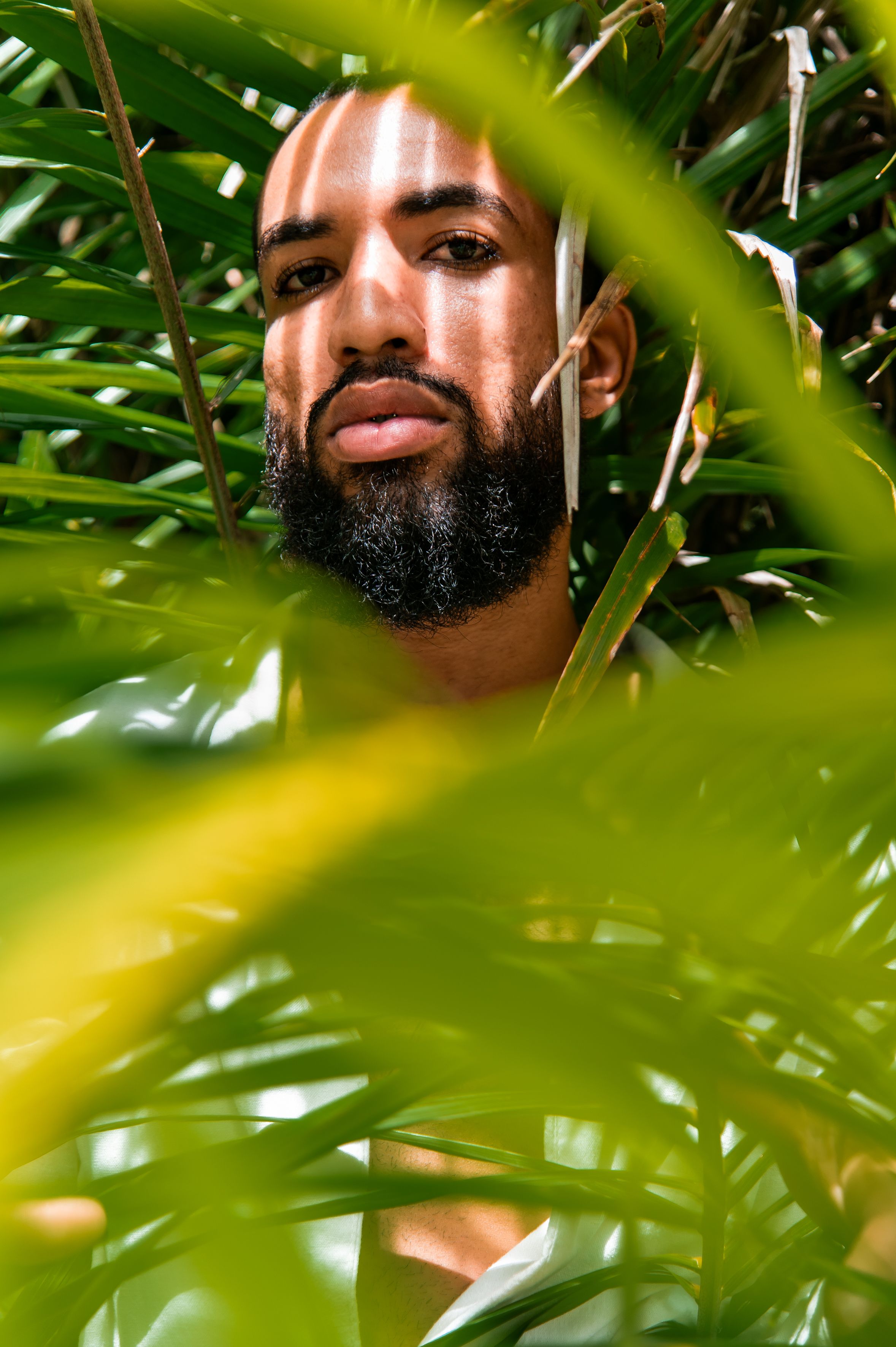 Portrait of Man in Lush Tropical Foliage · Free Stock Photo